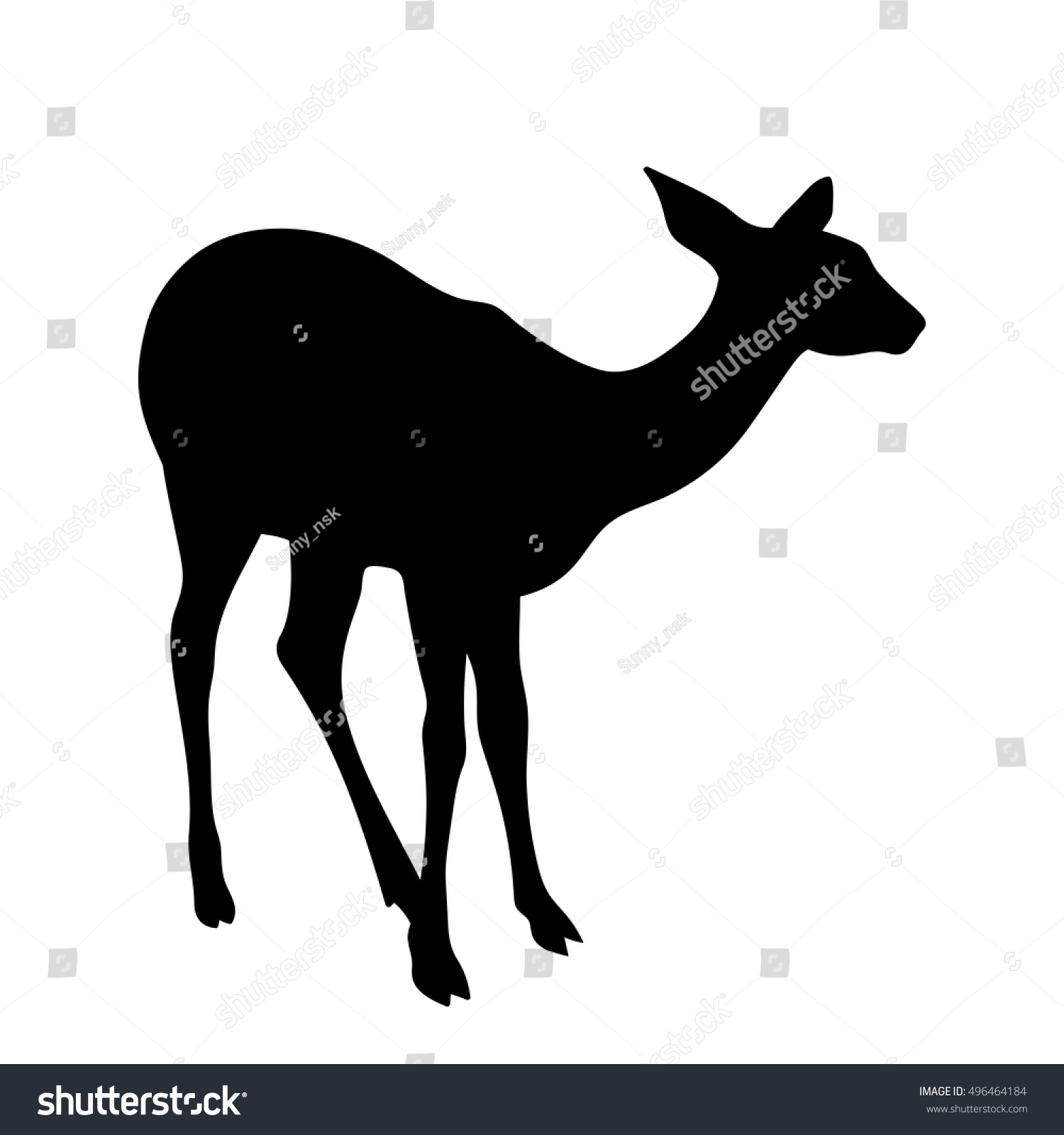 Vector Doe Silhouette Isolated On White: เวกเตอร์สต็อก (ปลอดค่า ...