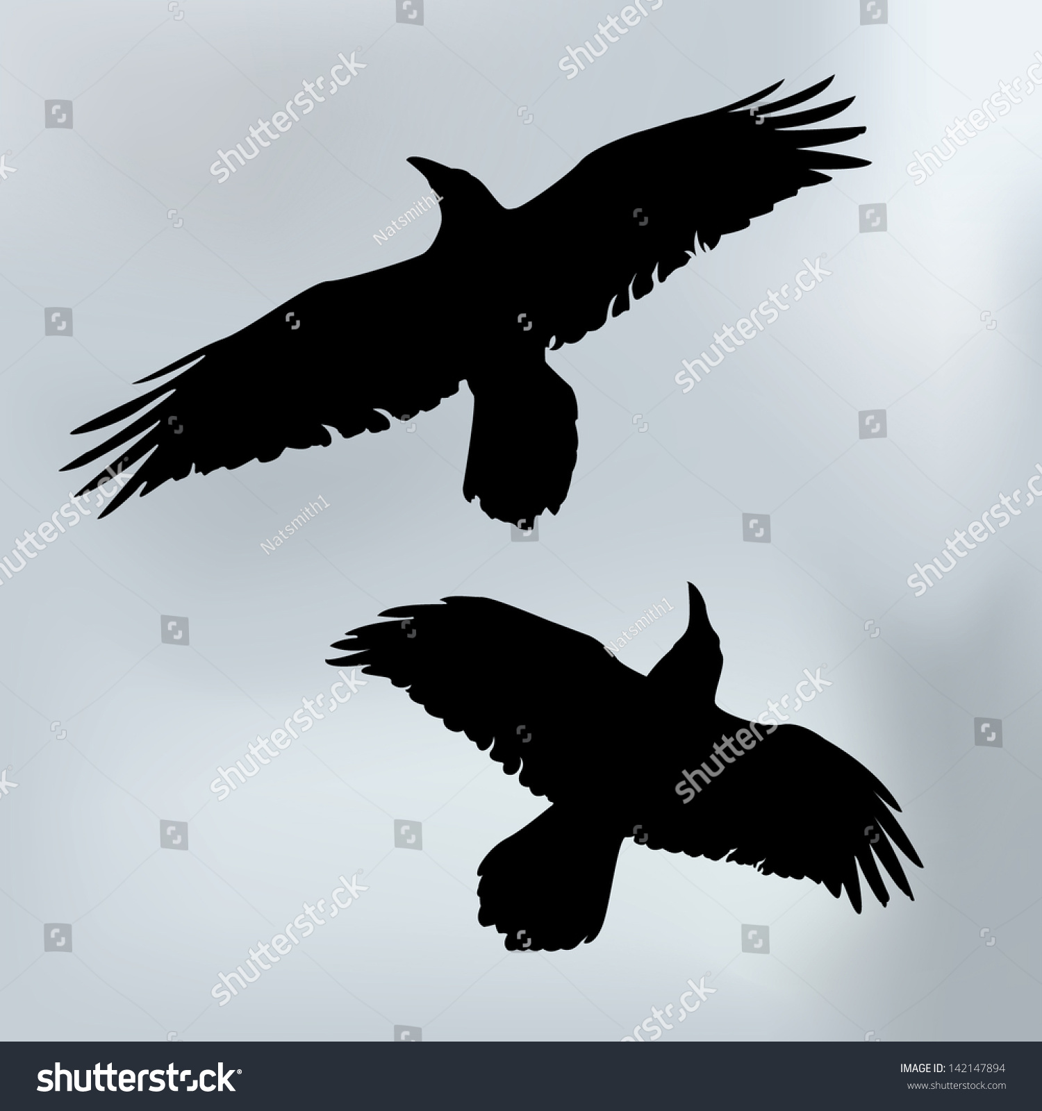 Vector Drawing Flying Ravens Vector Drawing Easy Edit Stock Vector ...