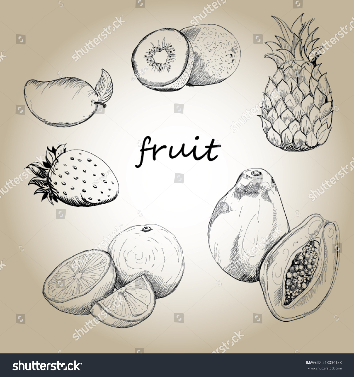 Vector Drawing Fruits Stock Vector (Royalty Free) 213034138 | Shutterstock