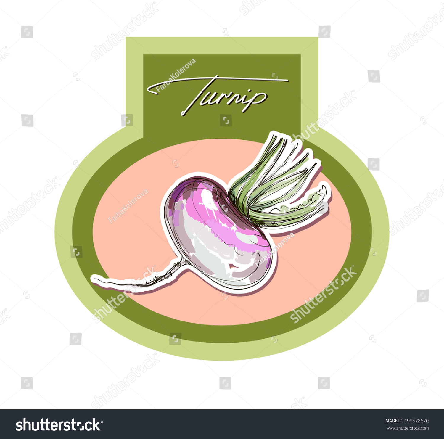 Vector Drawing Labels Turnip Vector Hand Stock Vector (Royalty Free ...