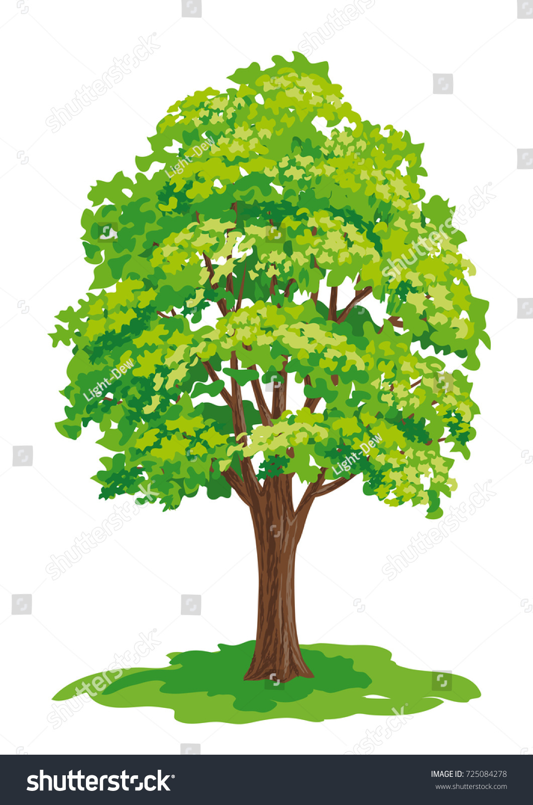 Vector Drawing Maple Tree Eps8 Stock Vector (Royalty Free) 725084278