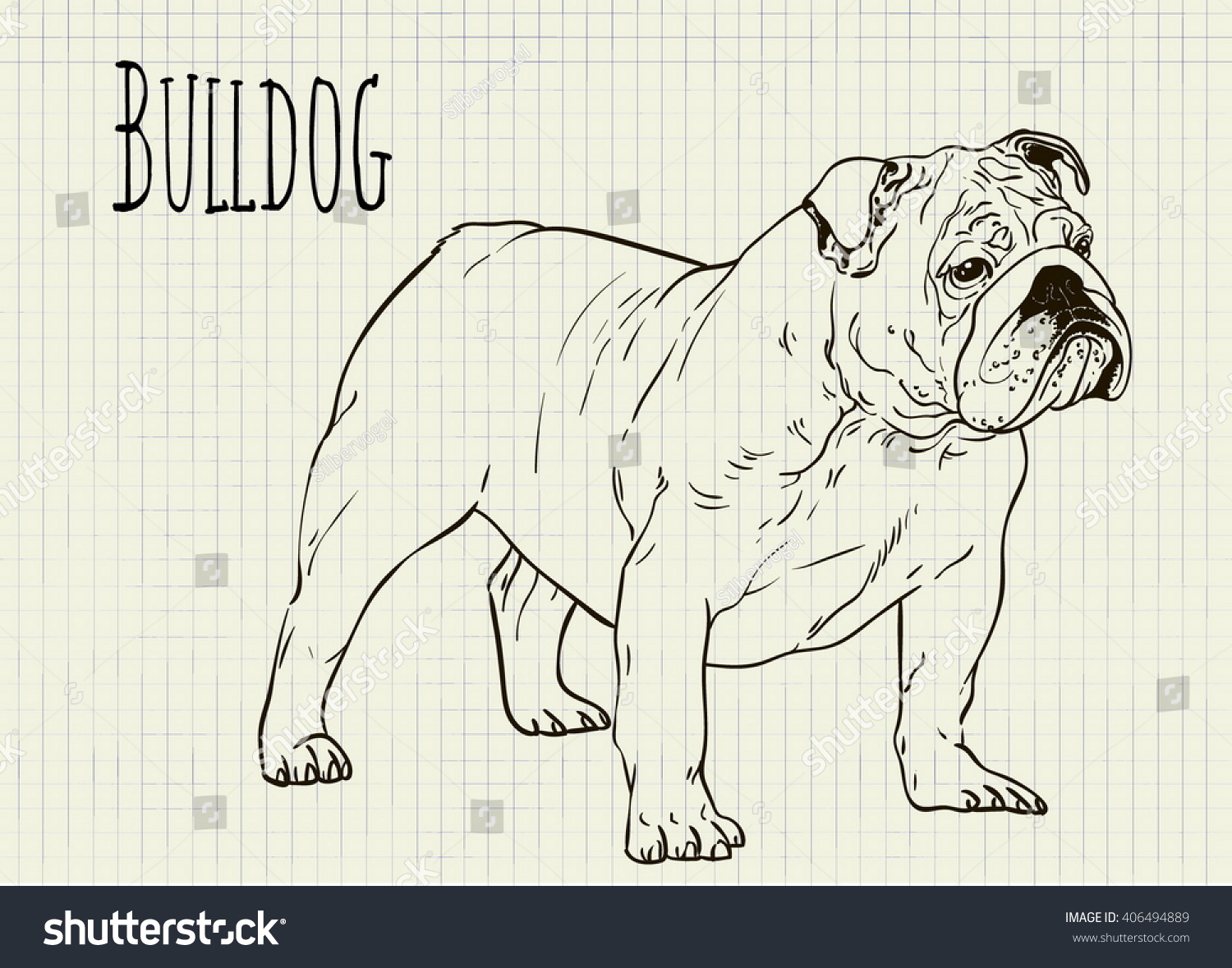987 imágenes de Bulldog with body vector - Imágenes, fotos y vectores ...