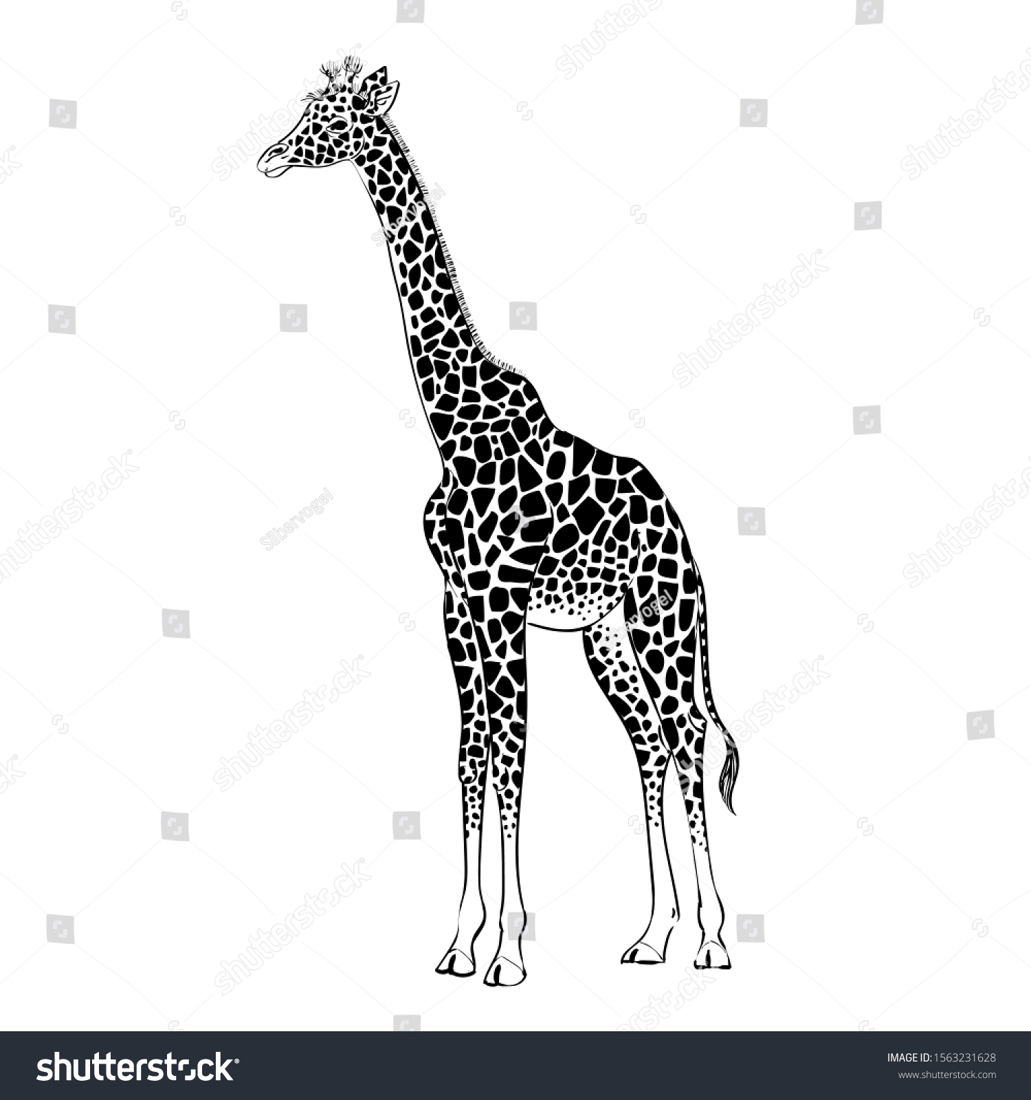 Vector Drawing Strokes Ink Giraffe Stock Vector (Royalty Free ...