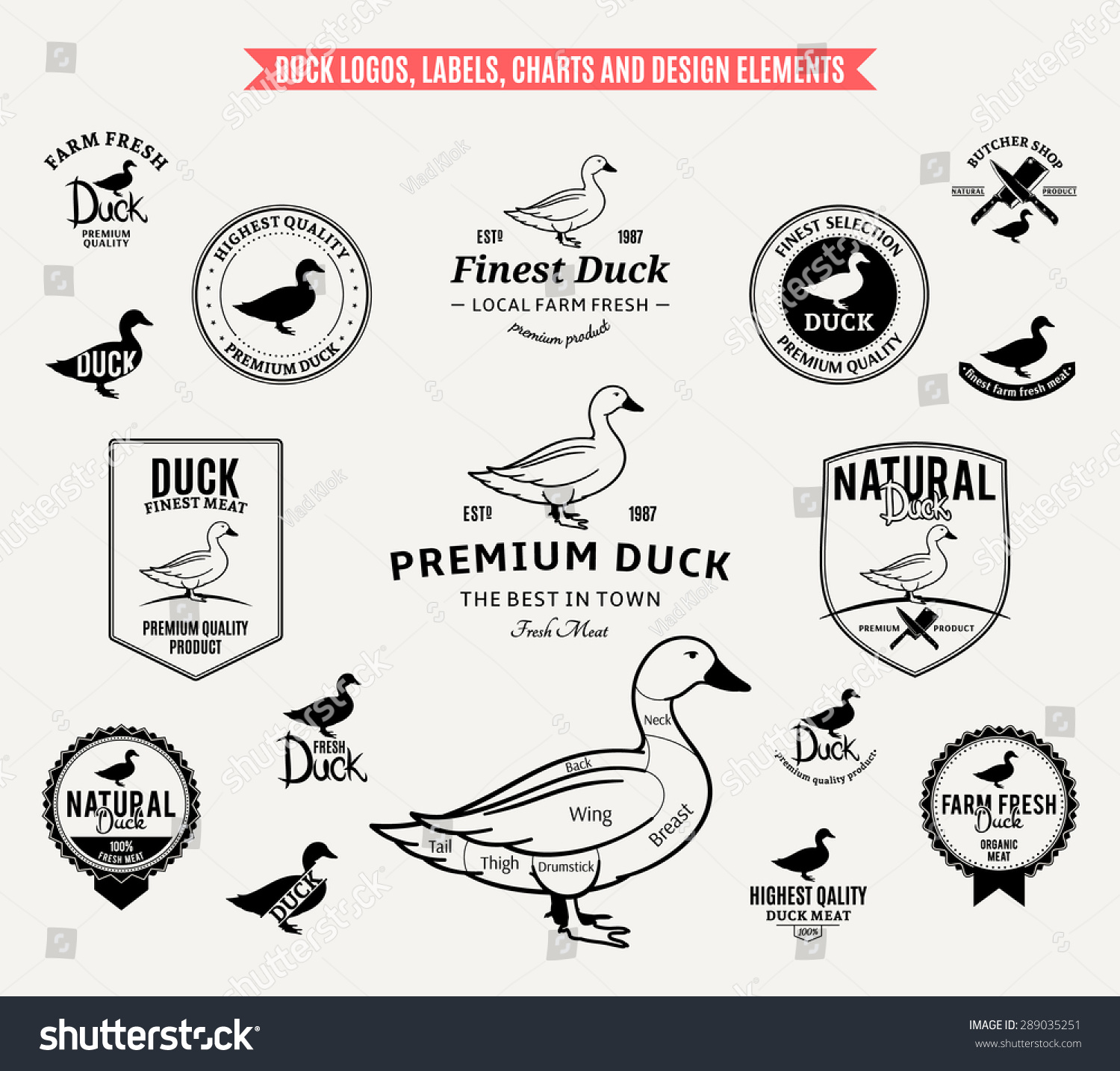 Vector Duck Labels Design Elements Stock Vector (Royalty Free ...