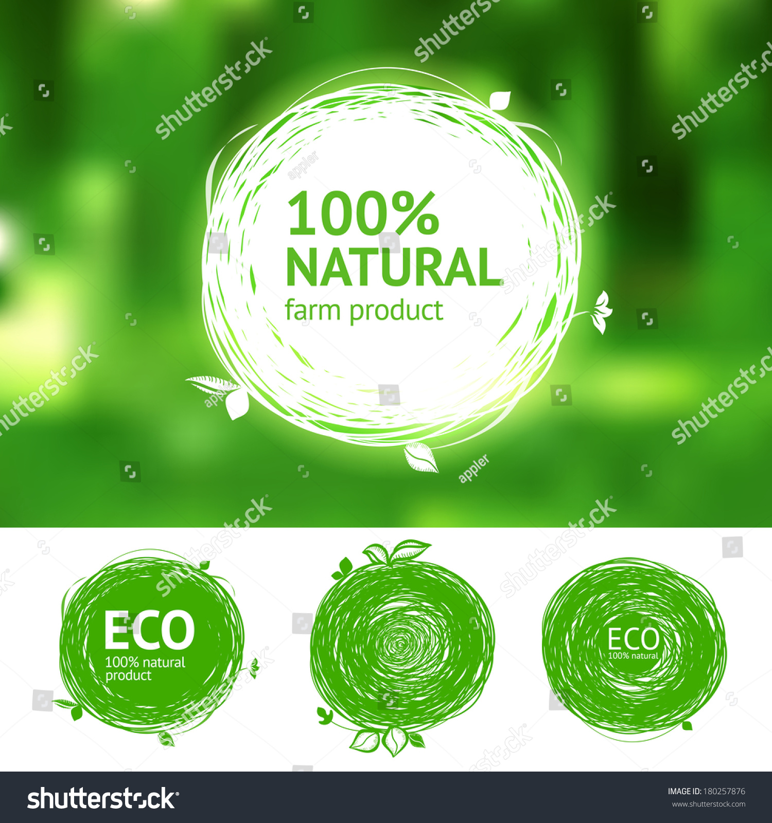 Vector Eco Labels Sketch Drawing Design Stock Vector (Royalty Free ...