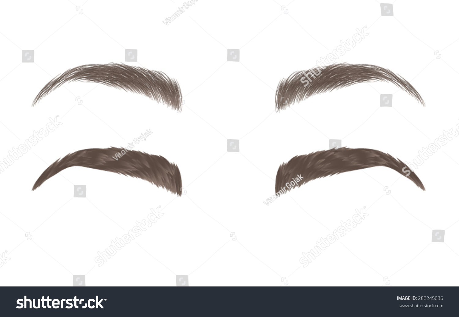 Vector Eyebrows, Realistic And Cartoon Style - 282245036 : Shutterstock