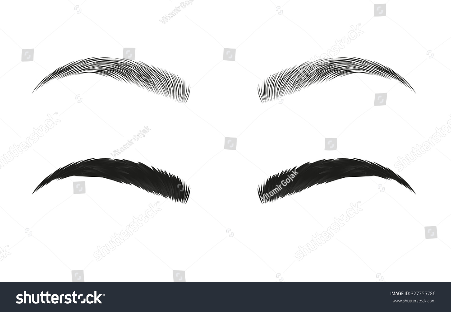 Vector Eyebrows Realistic Cartoon Style Stock Vector 327755786 ...