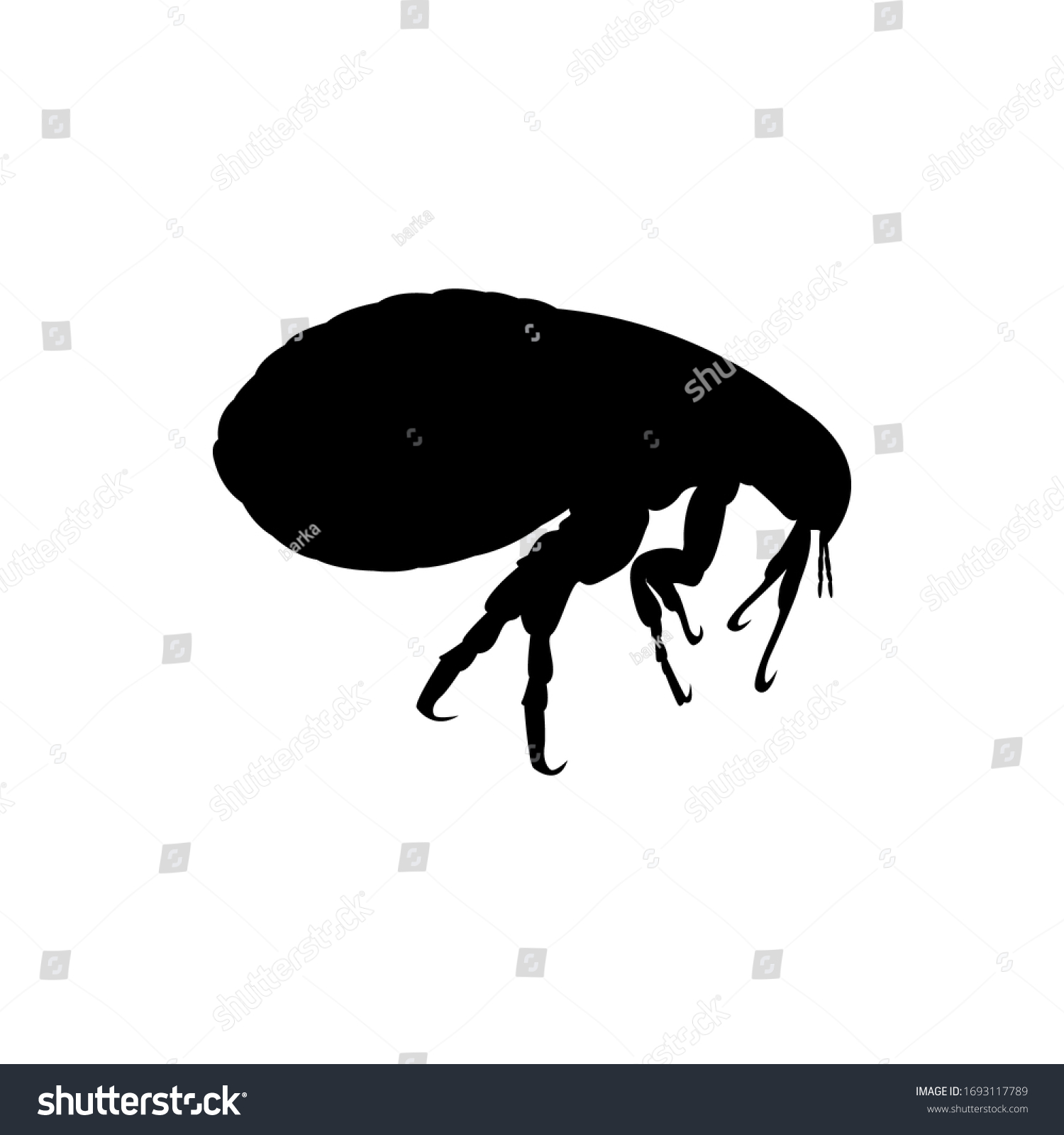 Vector Flea Illustration Flea Silhouette Stock Vector (Royalty Free ...