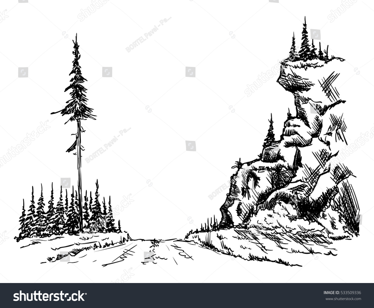 Vector Forest Path Landscape Isolated On Stock Vector 533509336 ...