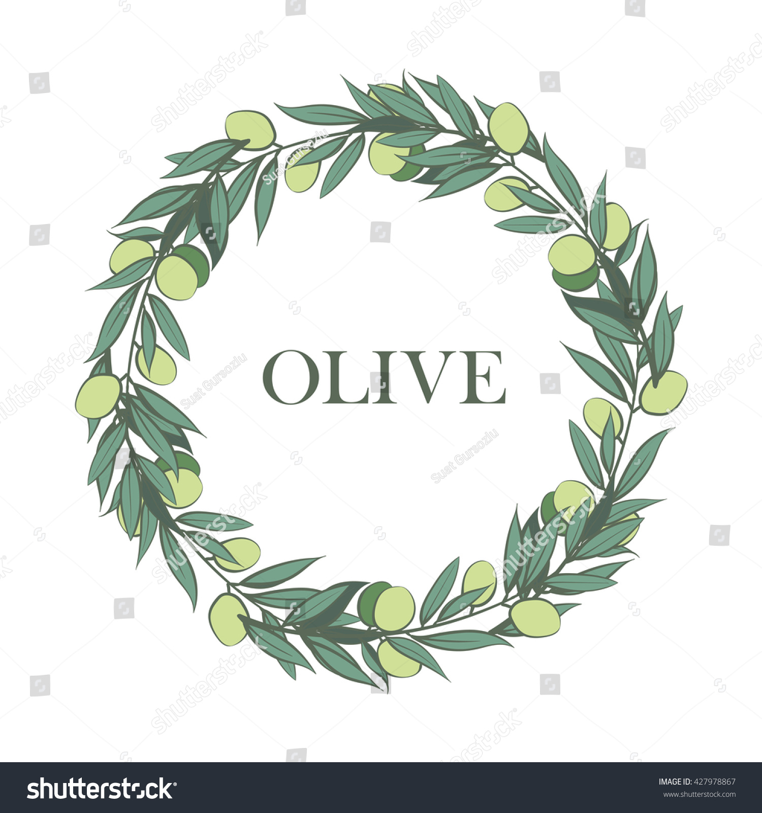 Vector Frame Olive Branch Hand Drawn Stock Vector 427978867 - Shutterstock