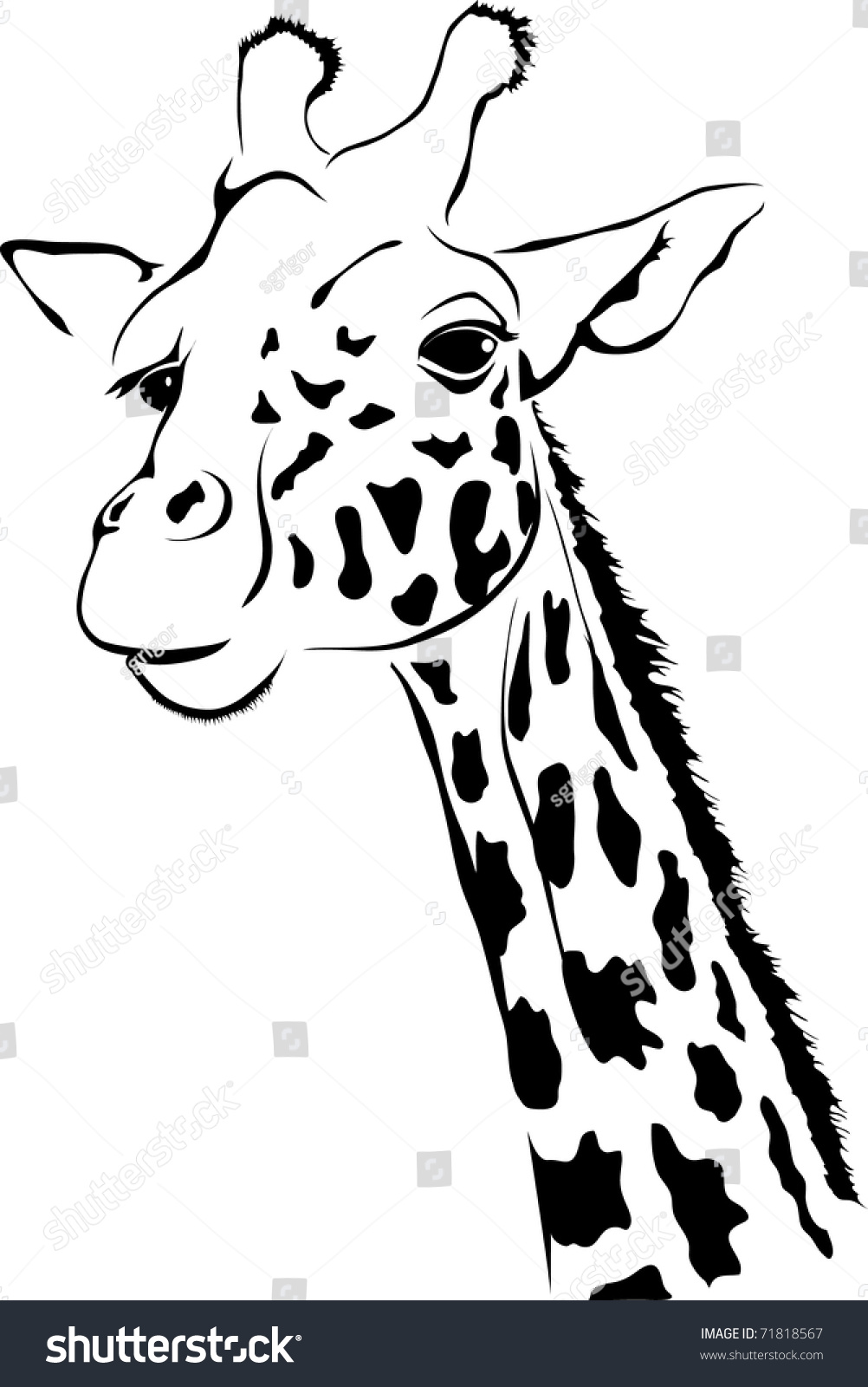 Vector Giraffe Stock Vector (Royalty Free) 71818567 | Shutterstock