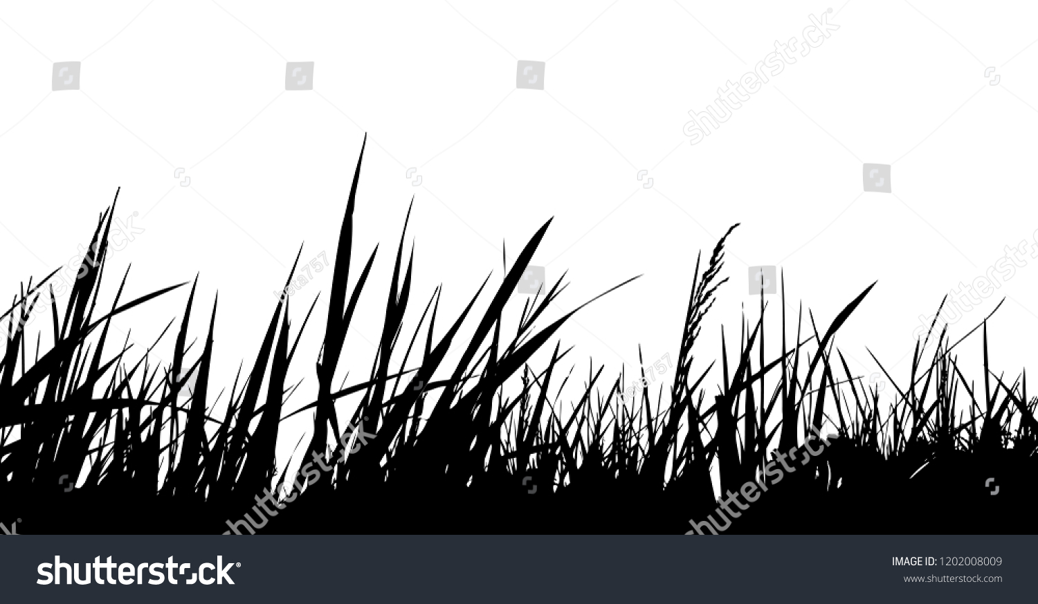 Vector Grass Isolated On White Background Stock Vector (Royalty Free ...