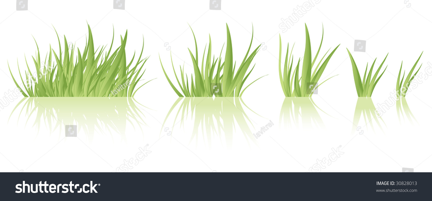 Vector Green Grass Tufts Different Sizes Stock Vector (Royalty Free ...