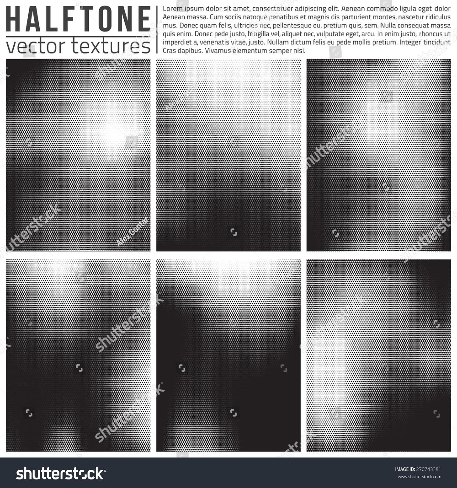 3,449 imágenes de Analogous structures - Imágenes, fotos y vectores de ...