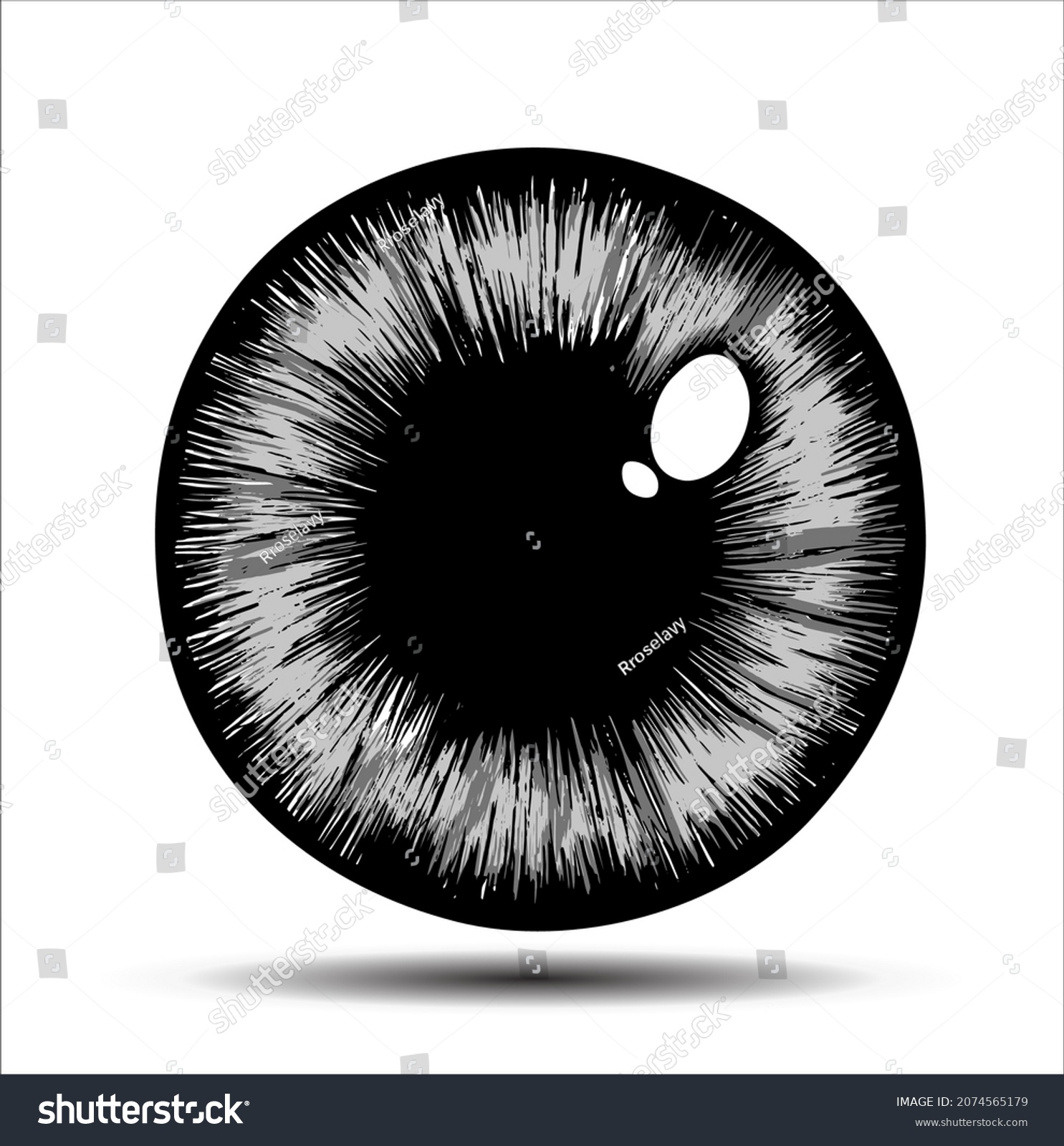Vector Hand Drawn Eyeball Isolated On Stock Vector (Royalty Free ...