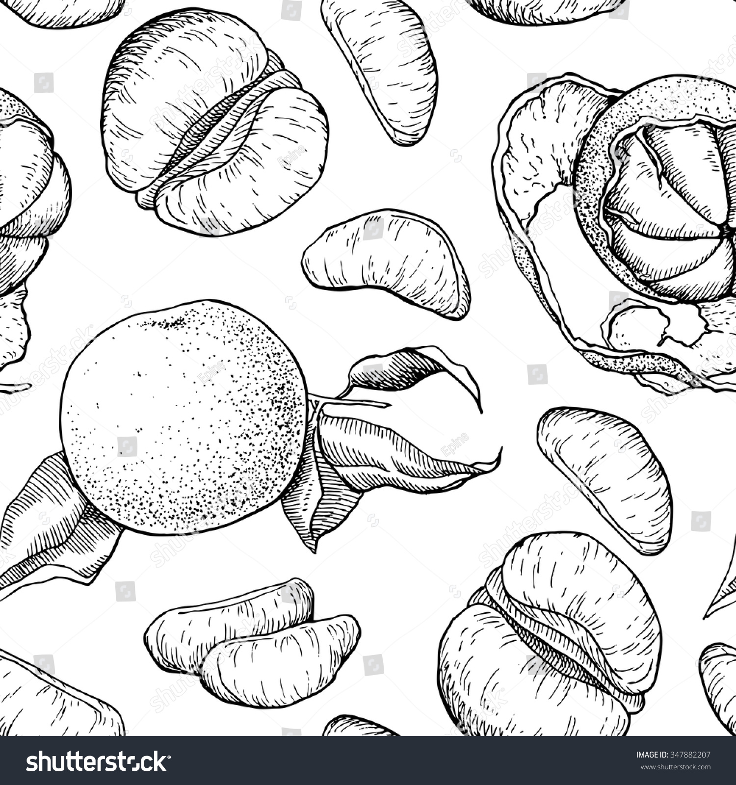 Vector Hand Drawn Mandarin Seamless Pattern Stock Vector (Royalty Free ...