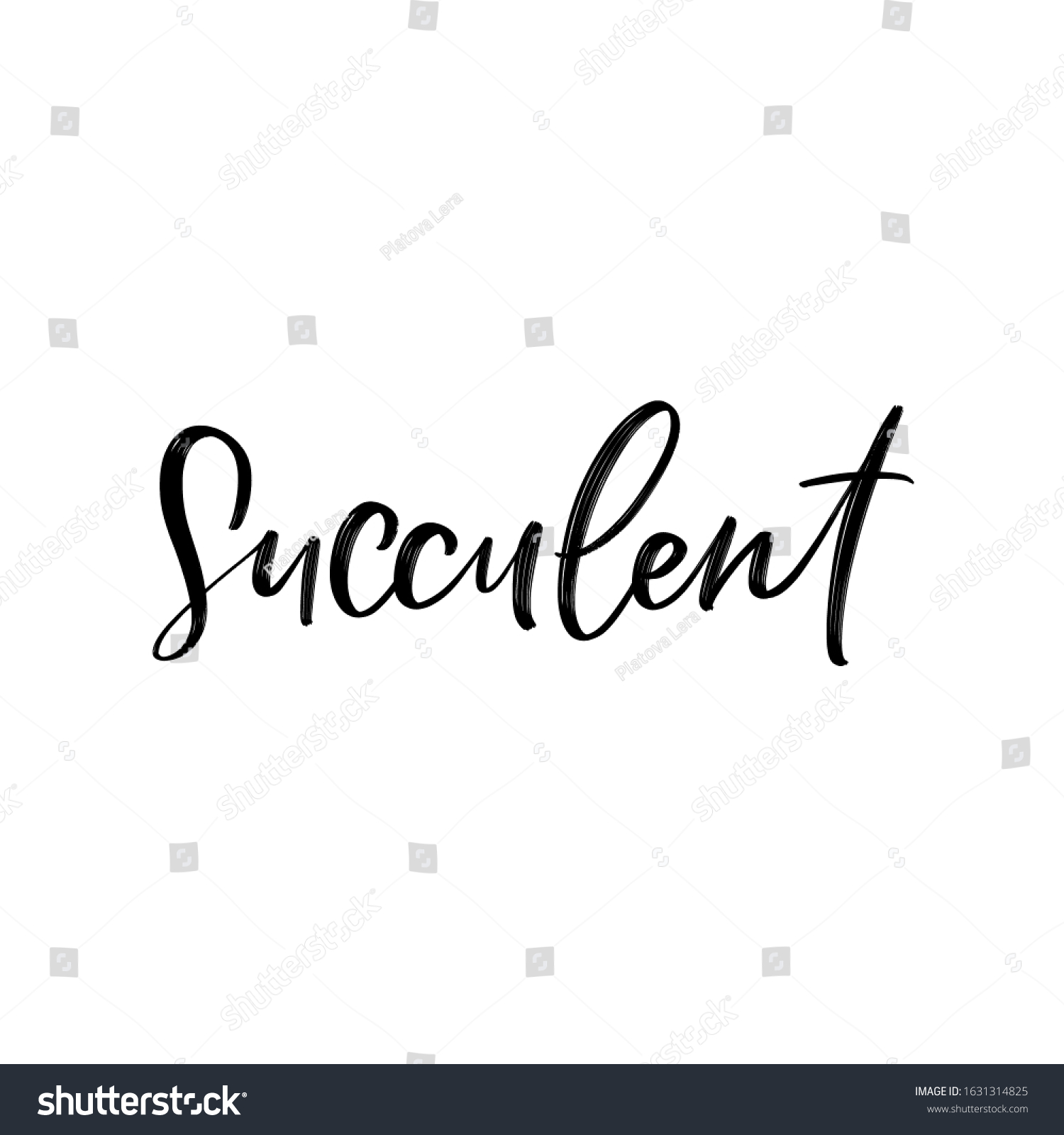 Vector Hand Lettering Typography Succulent Stock Vector (Royalty Free ...