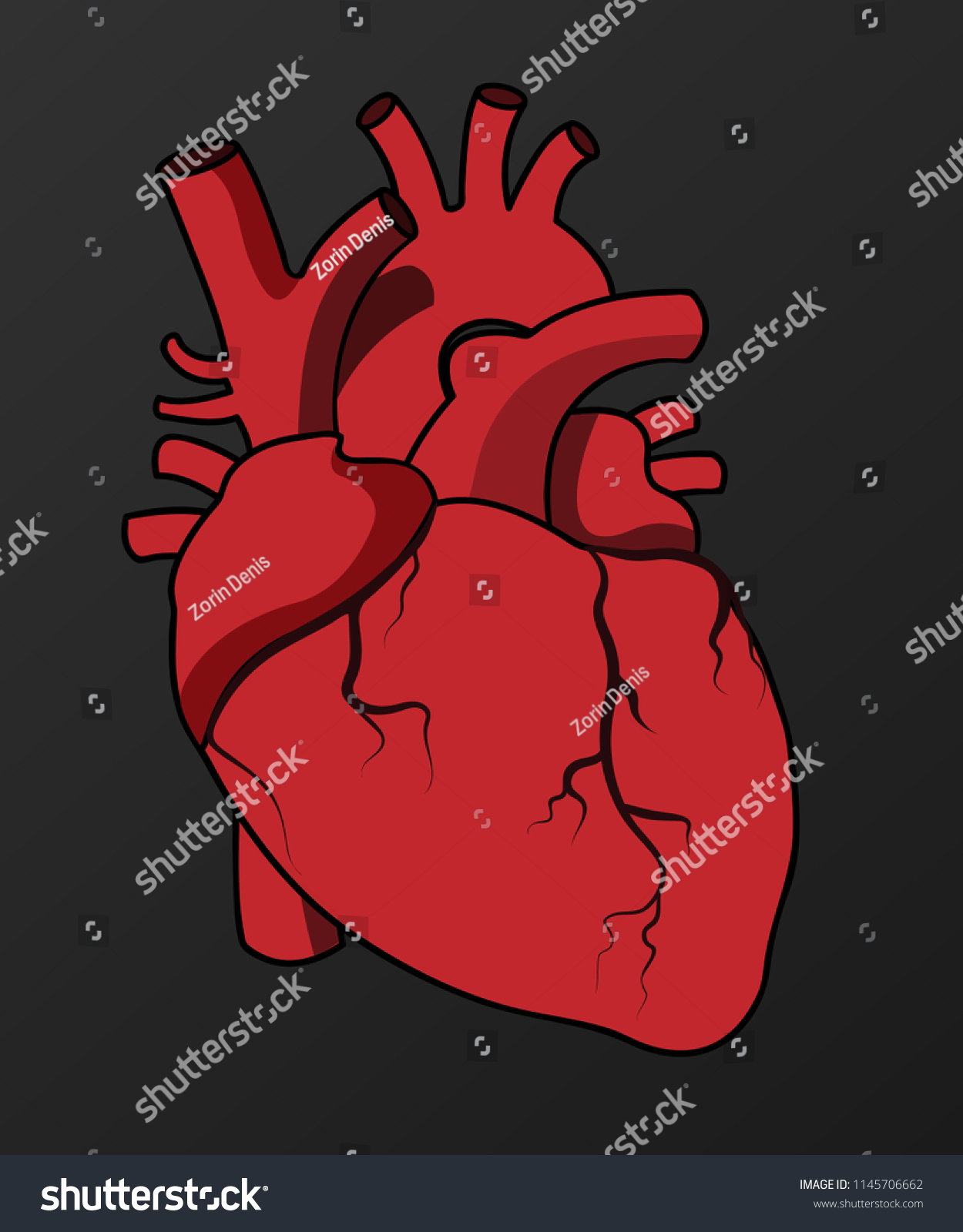 Vector Heart Illustration Isolated Stock Vector (Royalty Free ...
