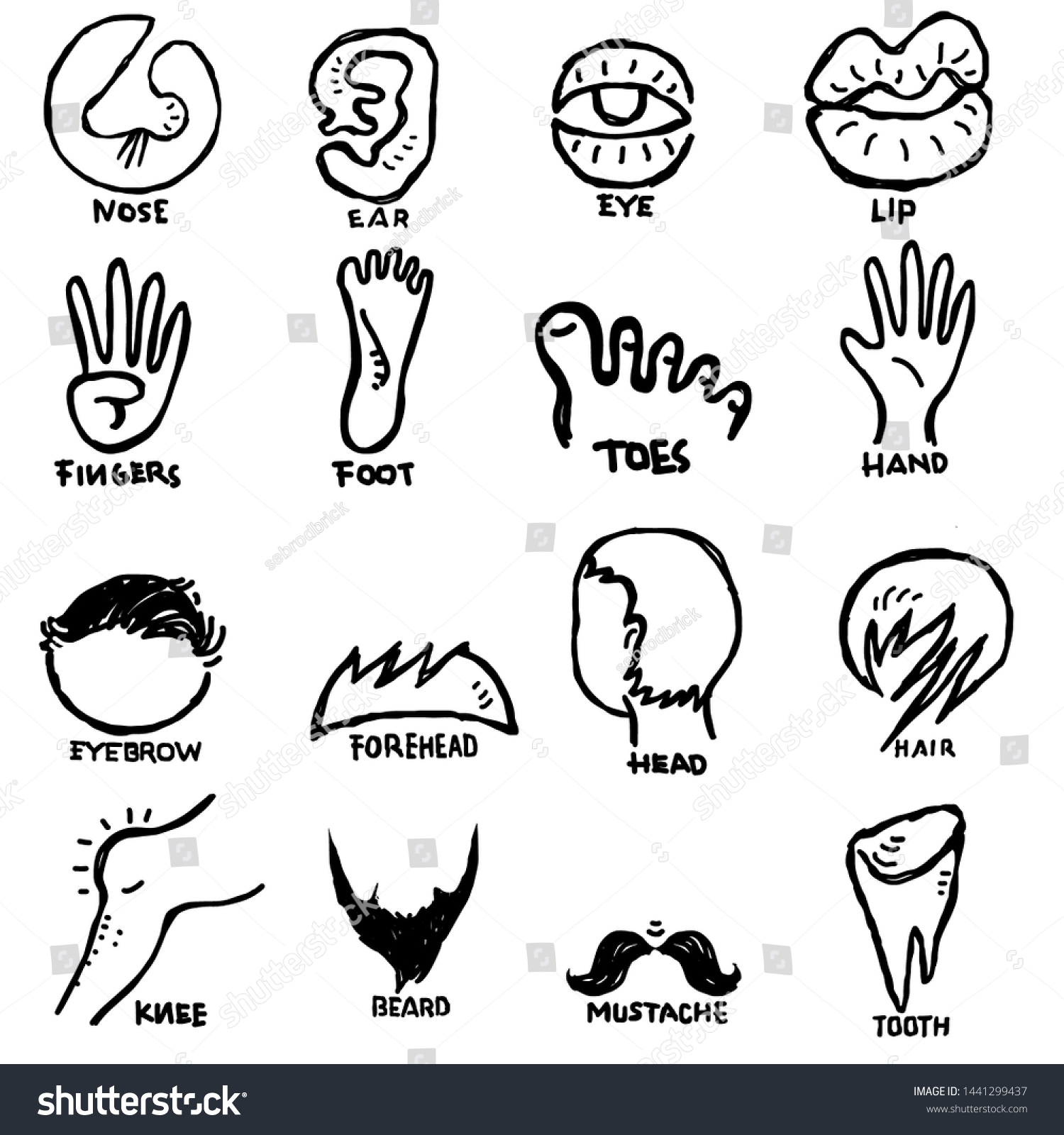 Vector Human Body Parts Pack Stock Vector (Royalty Free) 1441299437 ...