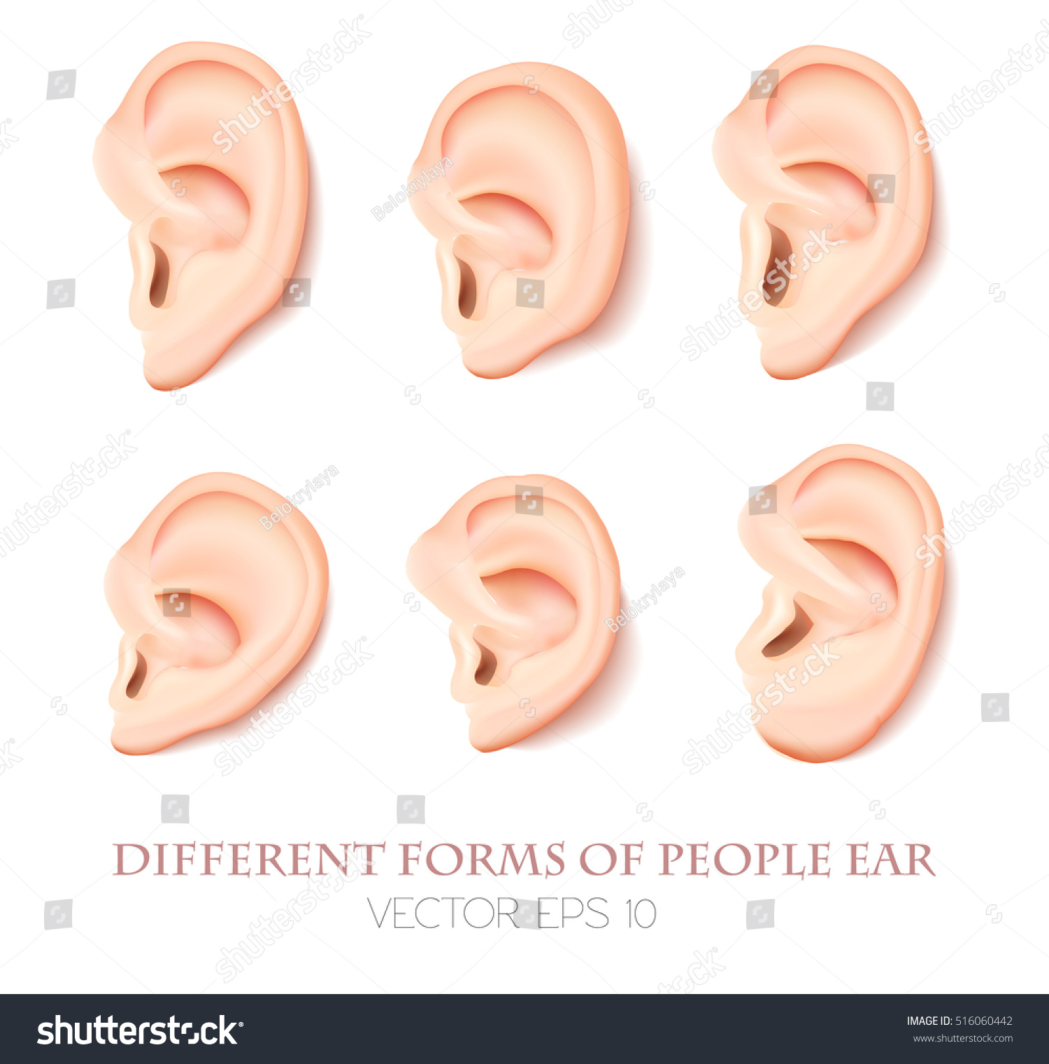 5,745 Human ear shape vector Images, Stock Photos & Vectors | Shutterstock 5,745 Human ear shape vector Images, Stock Photos & Vectors | Shutterstock