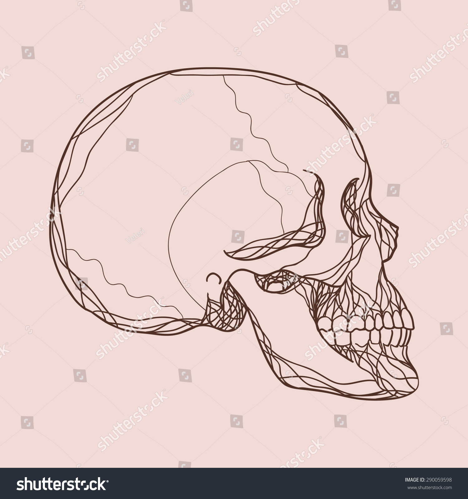 Vector Human Skull Profile Doodle Style: เวกเตอร์สต็อก (ปลอดค่า ...