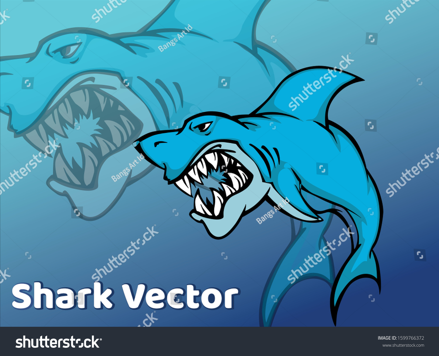 Vector Illustration Angry Sharks Sharp Teeth: vector de stock (libre de ...