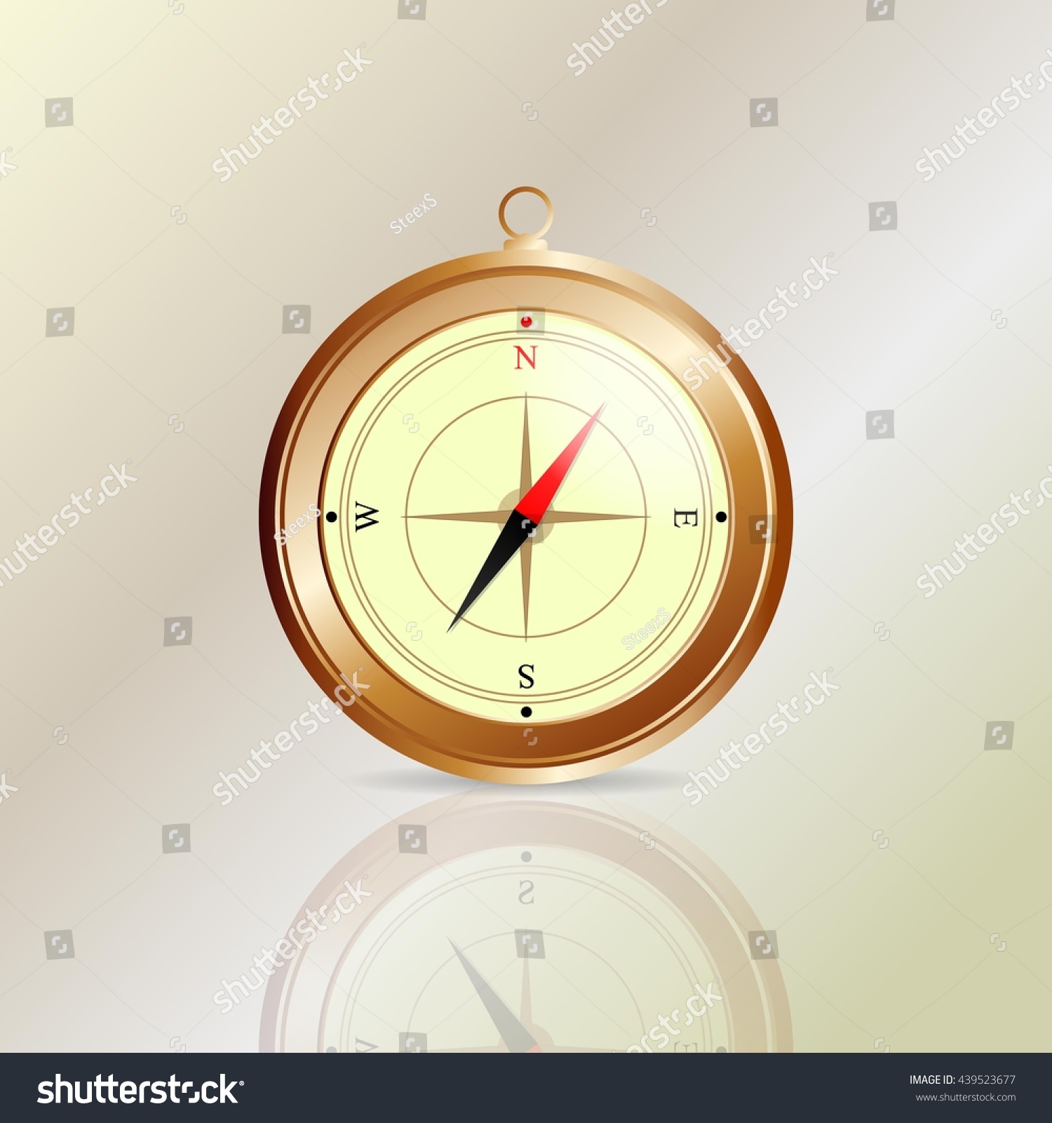 Vector Illustration Bright Compass Mirror Image Stock Vector (Royalty ...