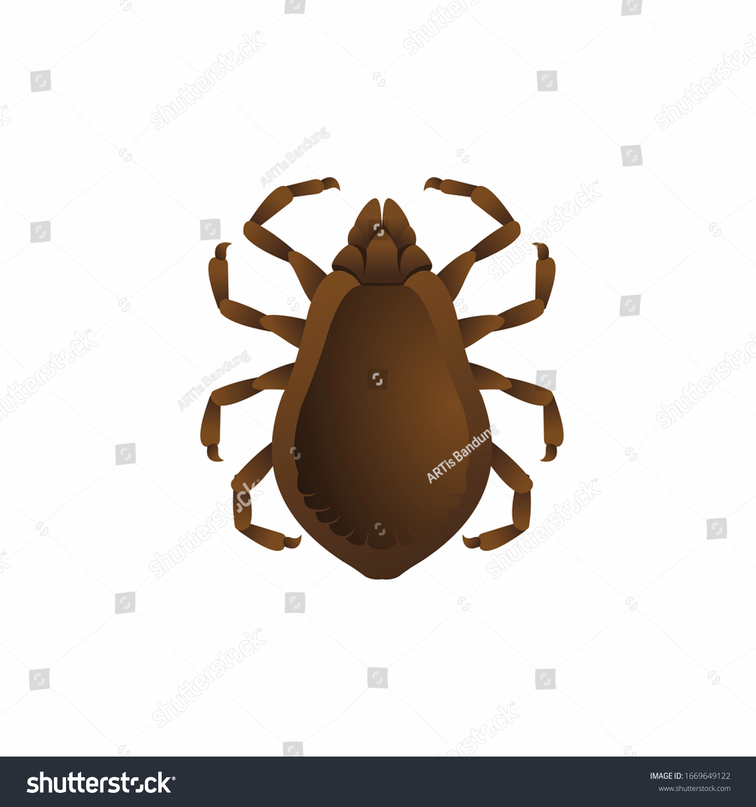 Vector Illustration Brown Dog Tick Stock Vector (Royalty Free) 1669649122