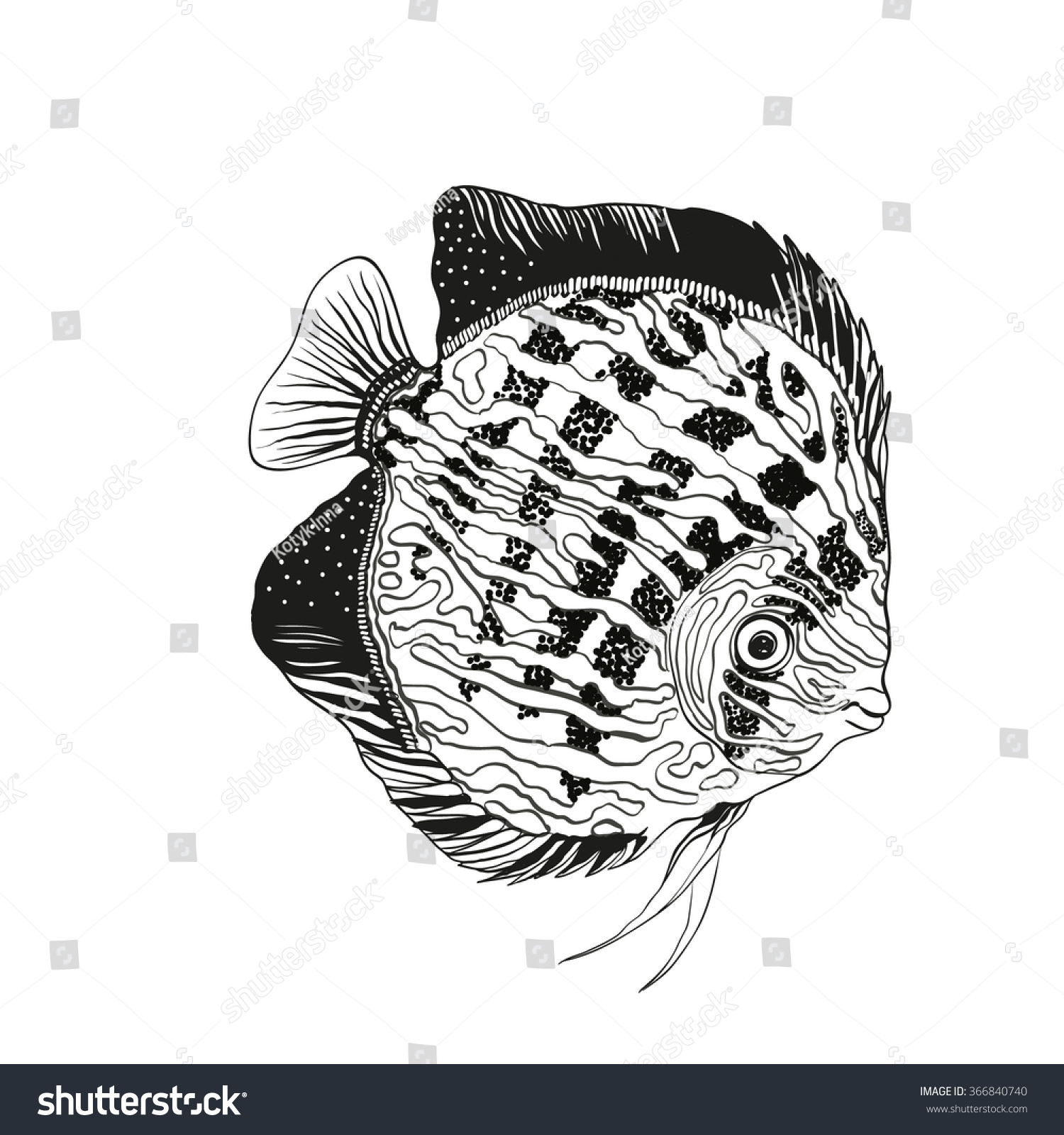 Vector Illustration Discus Aquarium Fish Stock Vector (Royalty Free ...