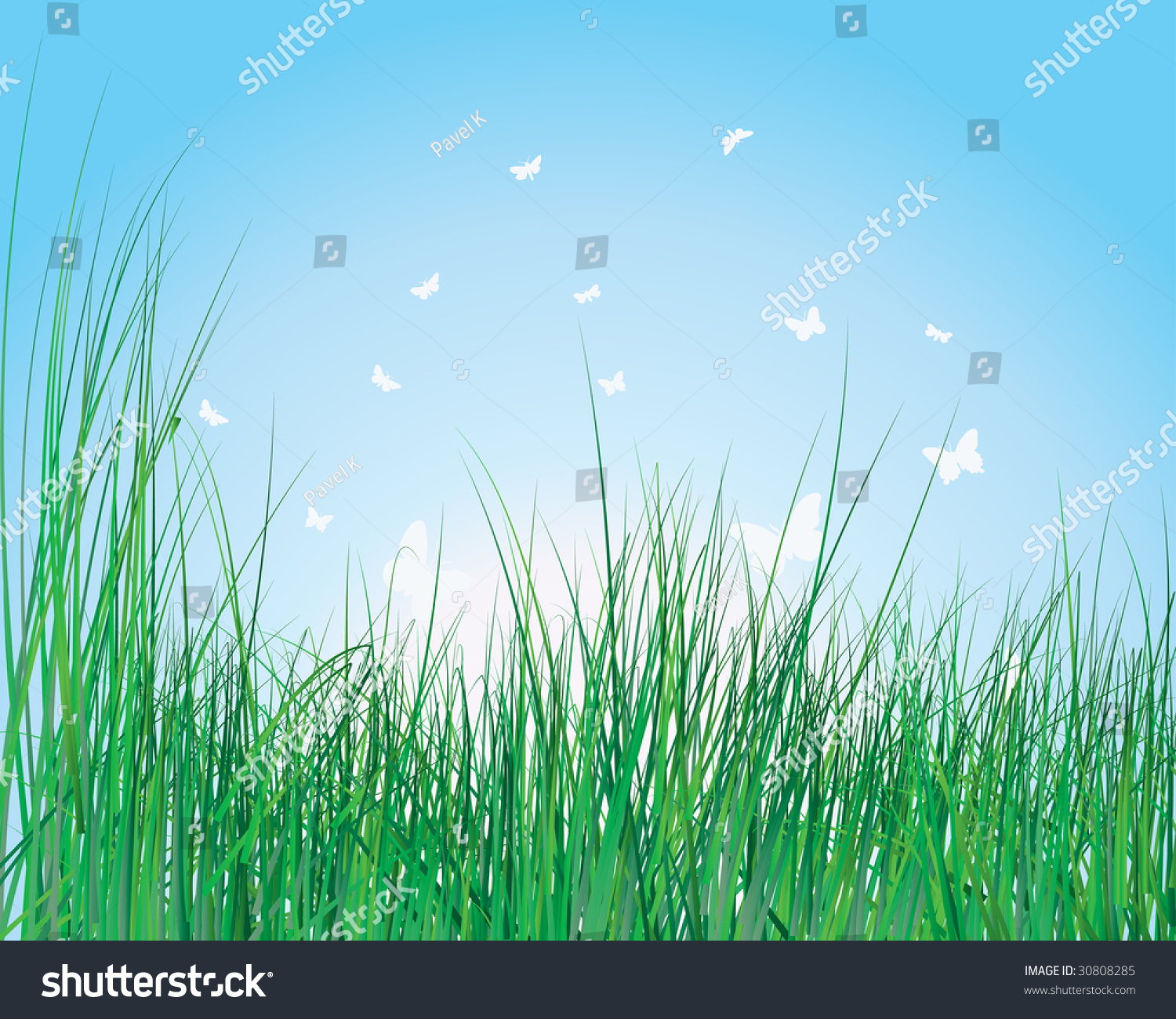 Vector Illustration Grass Background Design Use: vector de stock (libre ...