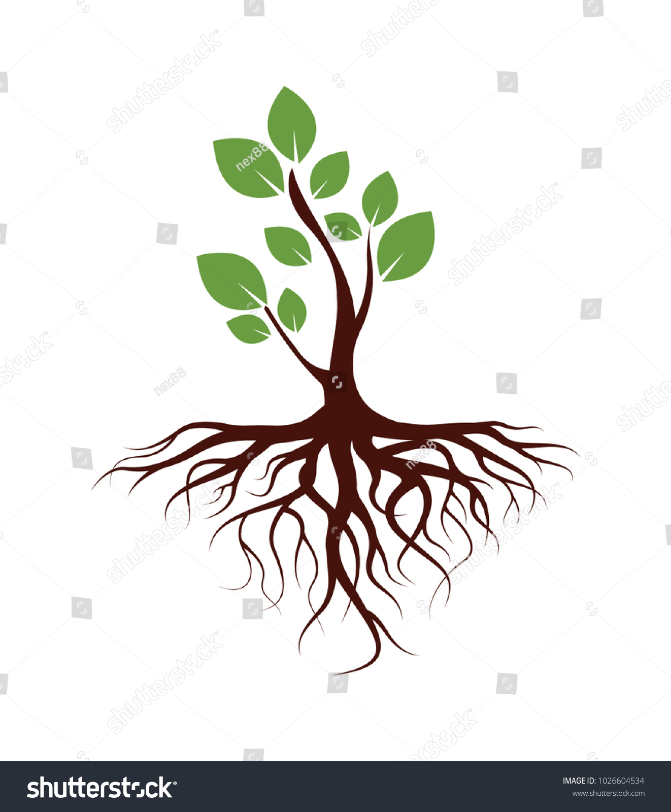 Vector Illustration Green Tree Roots Stock Vector (Royalty Free) 1026604534