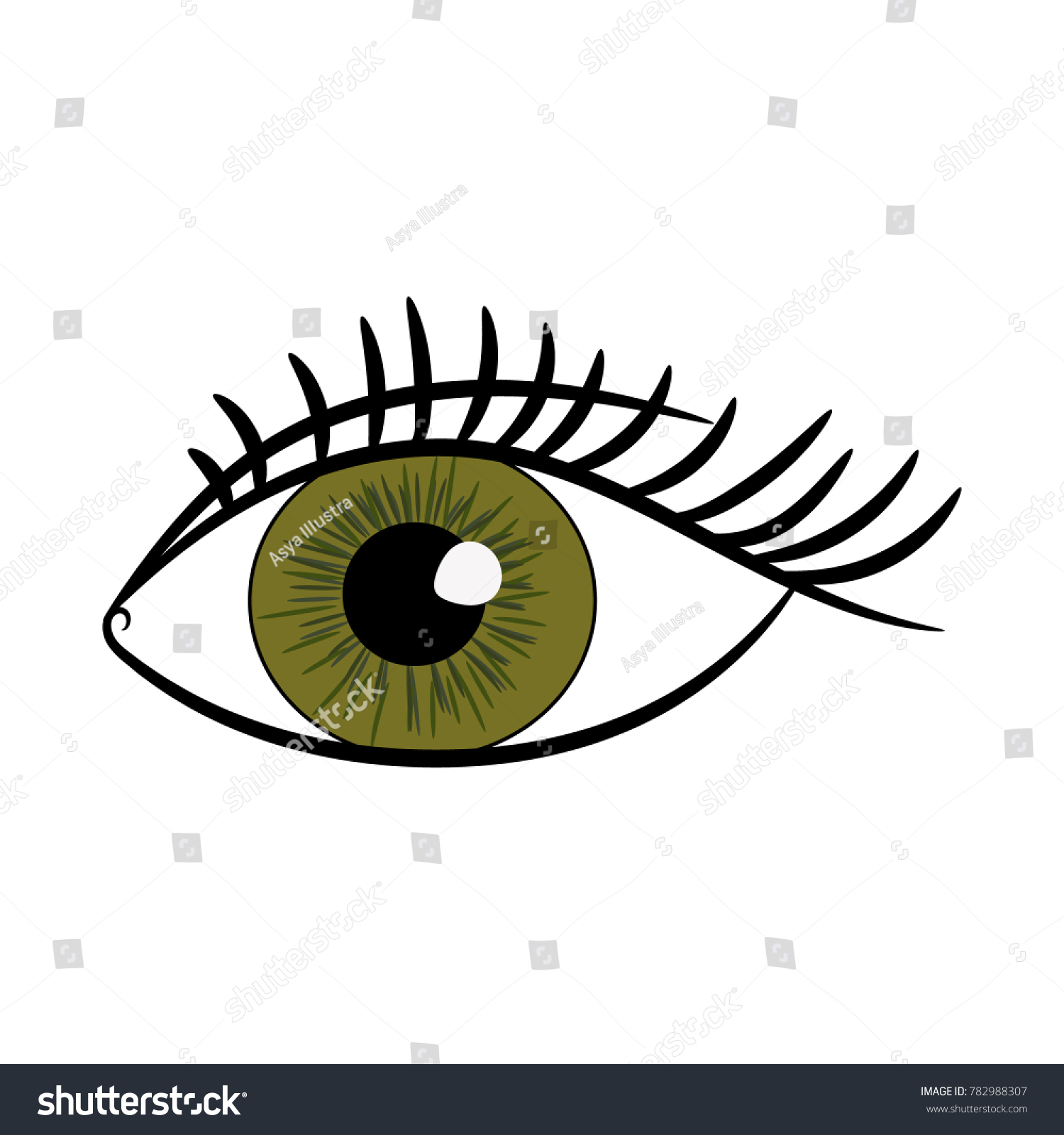 Vector Illustration Human Eye Hazel Colour Stock Vector (Royalty Free ...