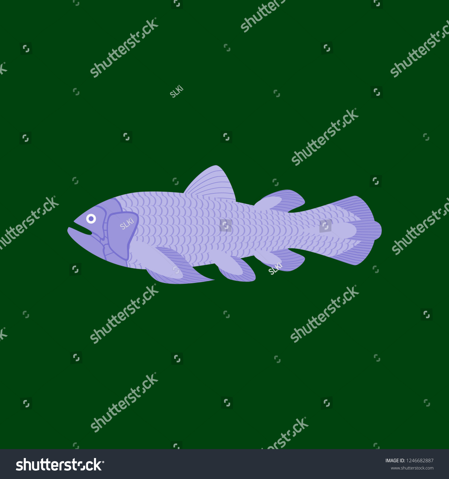 Vector Illustration Flat Style Fish Coelacanth Stock Vector (Royalty ...