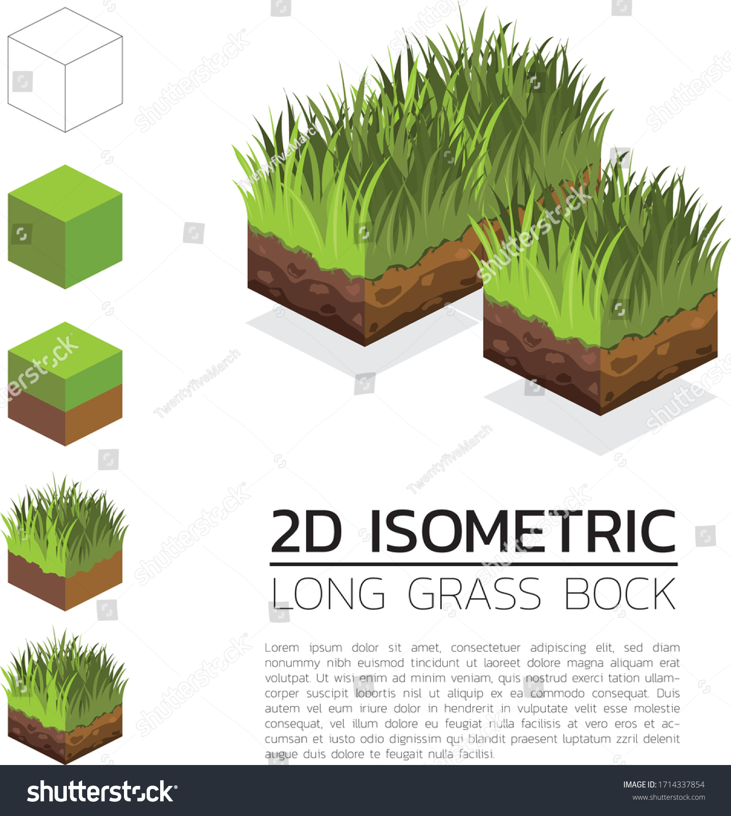 Vector Illustration Isometric Long Grass Stock Vector (Royalty Free ...