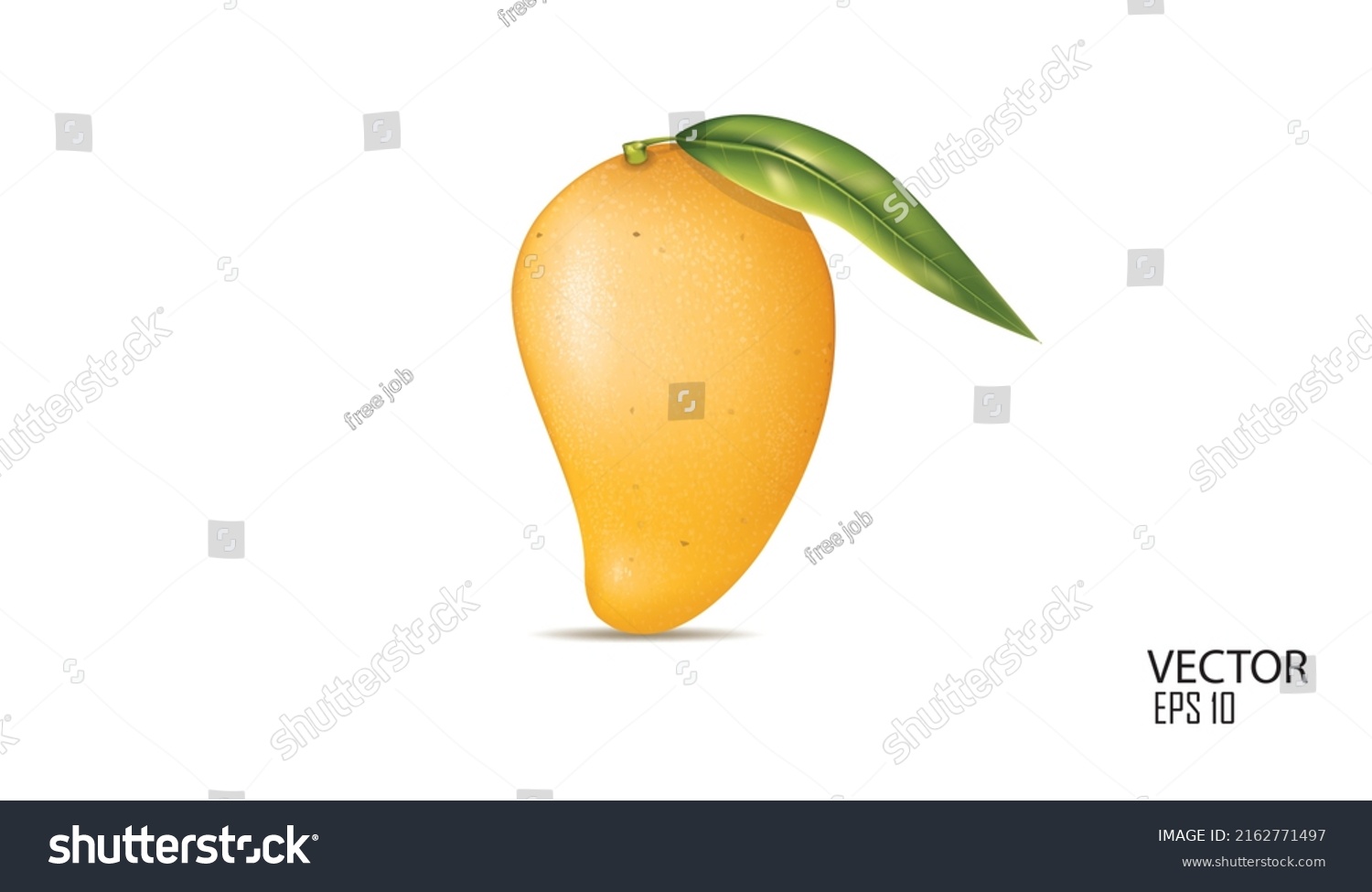 Vector Illustration Mango Design Template On Stock Vector (Royalty Free ...