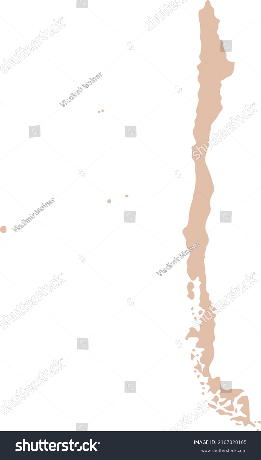 Vector Illustration Chile Map Stock Vector (Royalty Free) 2167828165 ...