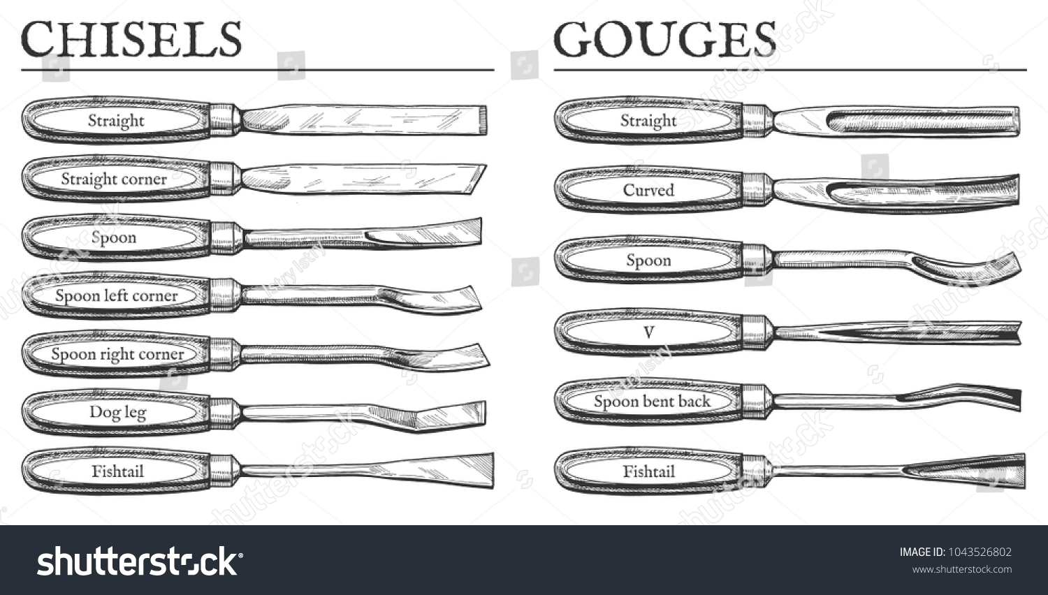 Vector Illustration Chisels Gouges Types Set Stock Vector (Royalty Free ...
