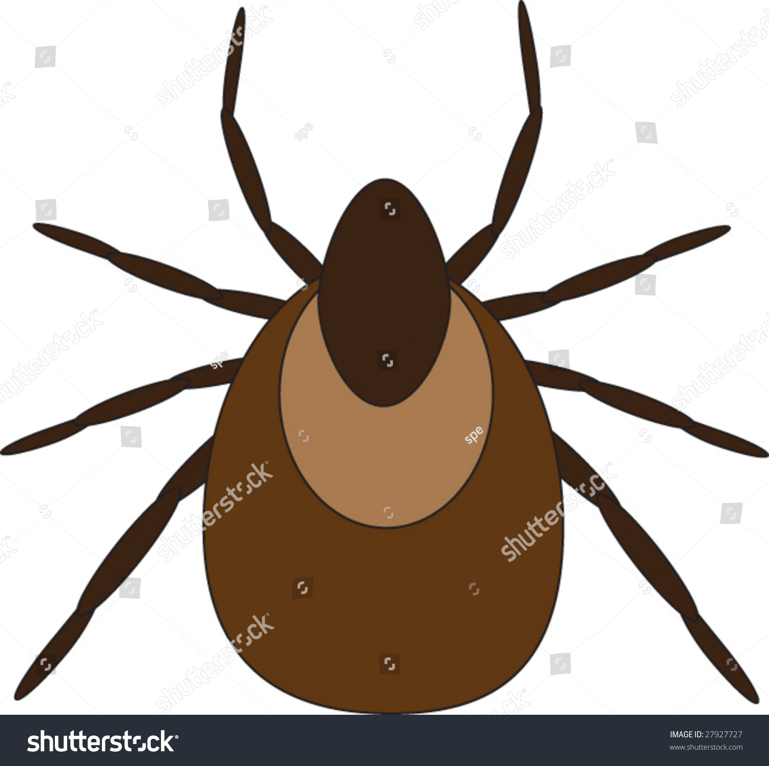 Vector Illustration Schematic Tick Stock Vector (Royalty Free) 27927727 ...