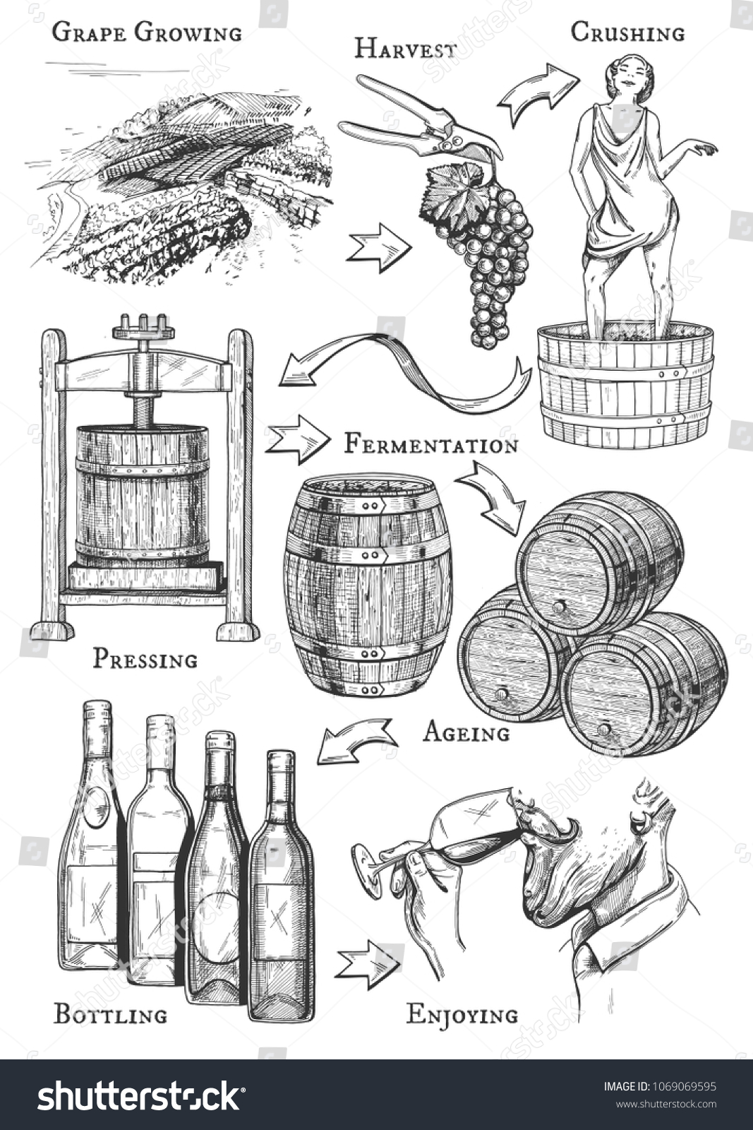 Vector Illustration Wine Making Process All Stock Vector (Royalty Free ... Vector Illustration Wine Making Process All Stock Vector (Royalty Free ...