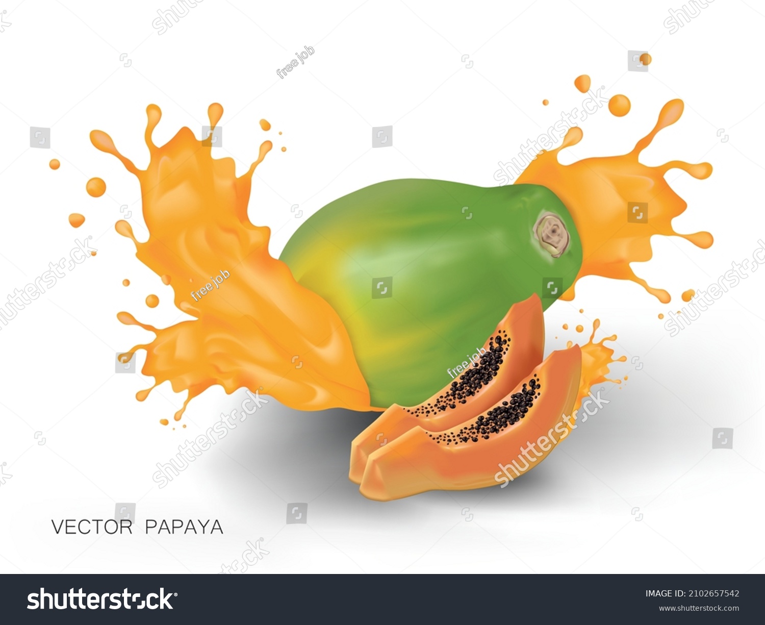 Vector Illustration Papaya Design Template Stock Vector (Royalty Free ...