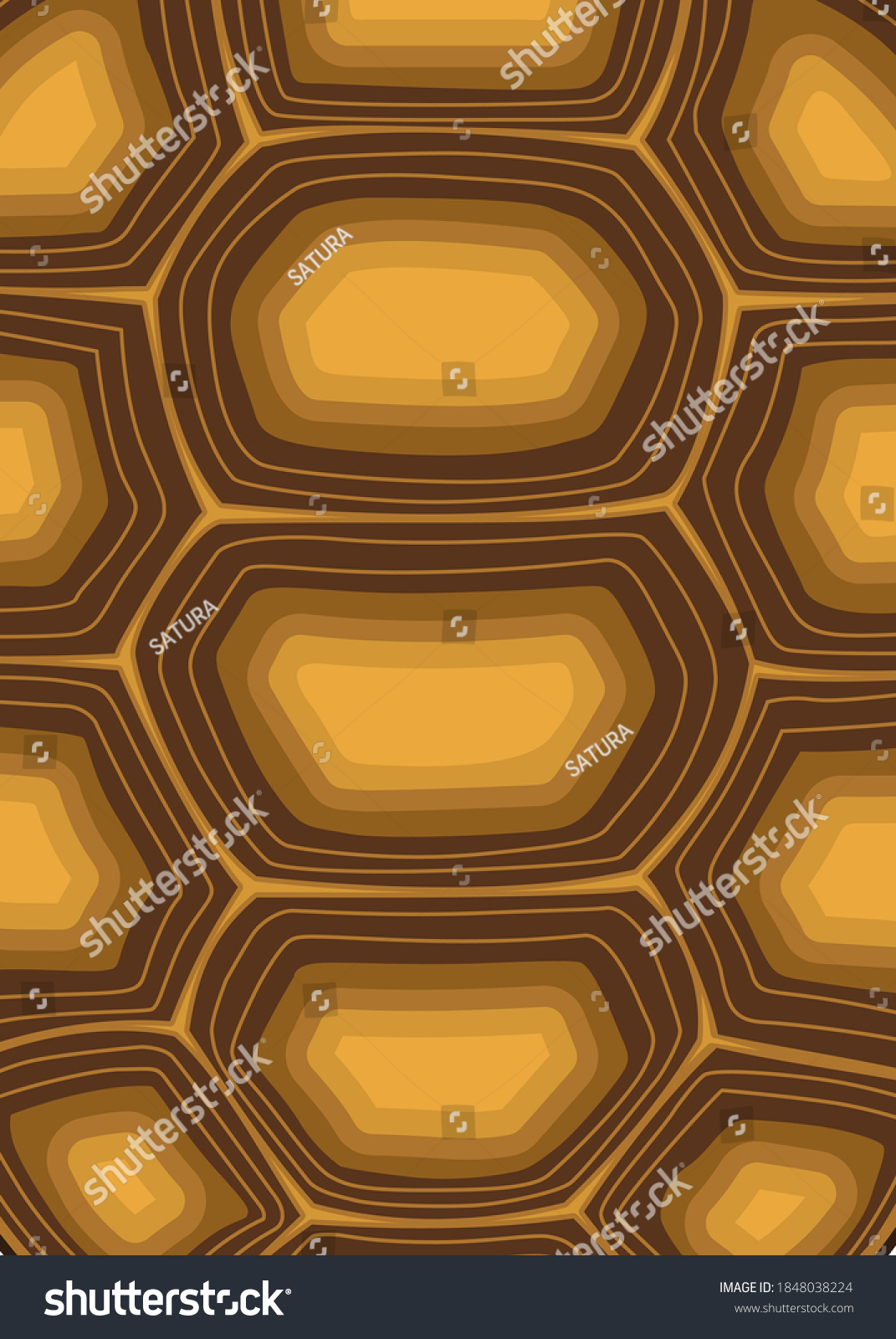7,019 Seamless turtle shell 이미지, 스톡 사진 및 벡터 | Shutterstock