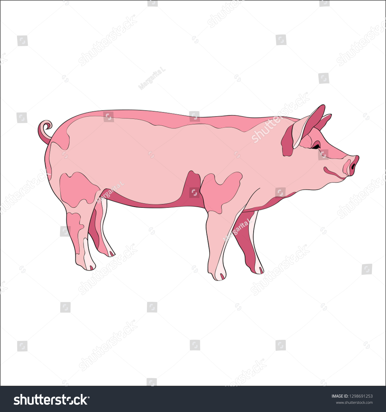 Vector Illustration Pig Side View Color Stock Vector (Royalty Free ...
