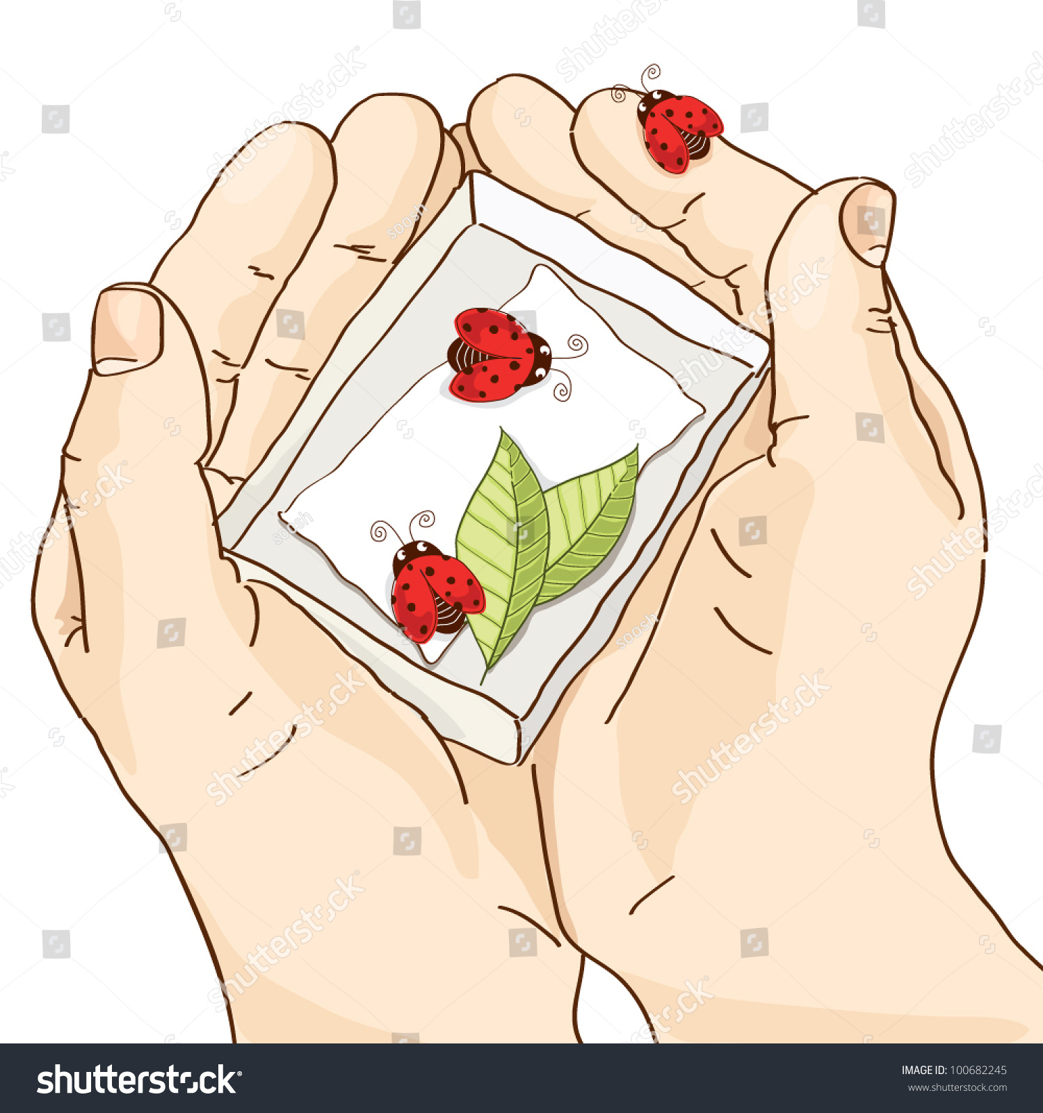 Vector Illustration Tiny Lady Bugs Box Stock Vector (Royalty Free ...