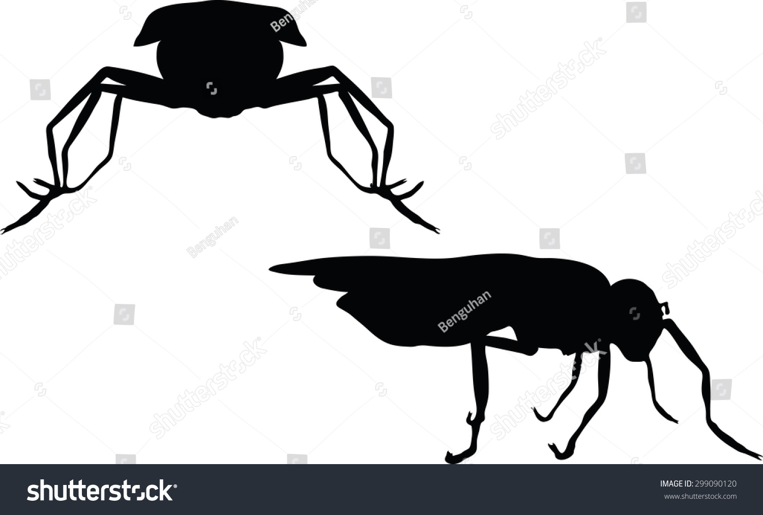 Vector Image Bug Fly Silhouette Isolated Stock Vector (Royalty Free ...