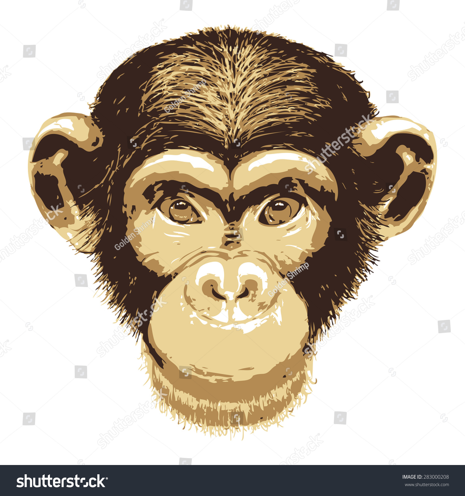 Vector Image Monkey Face On White Stock Vector 283000208 - Shutterstock