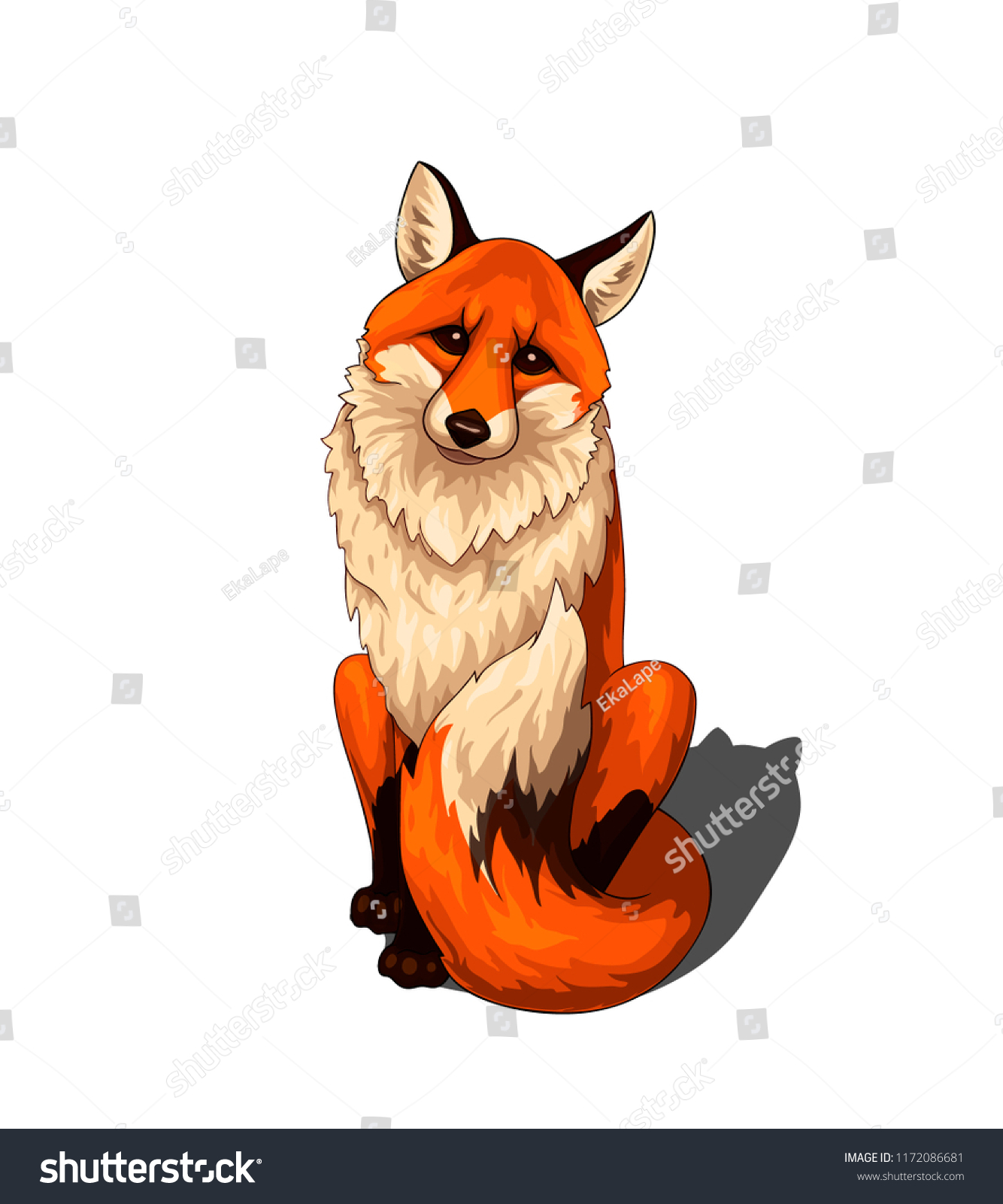 Vector Isolated Red Fox On White Stock Vector (Royalty Free) 1172086681 ...