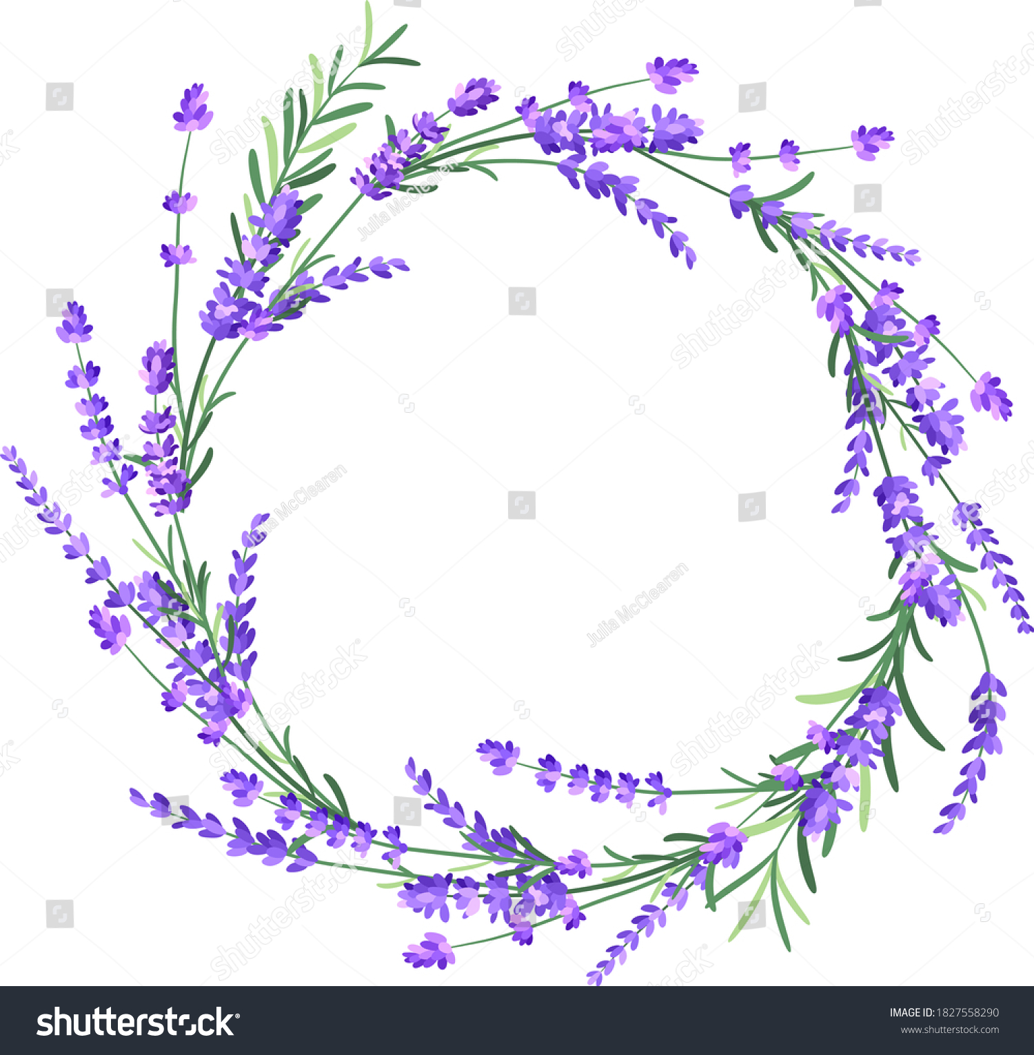 Marco de lavanda vectorial en el: vector de stock (libre de regalías ...