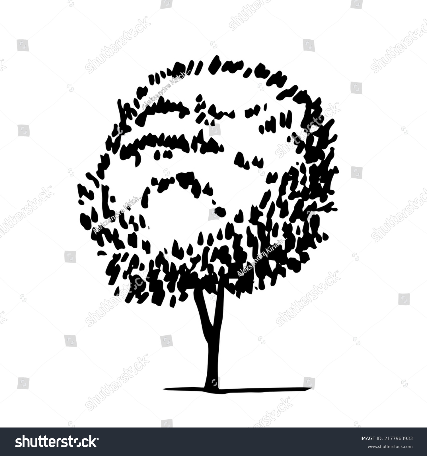 Vector Lime Tree Ink Sketch Hand Stock Vector (Royalty Free) 2177963933 ...