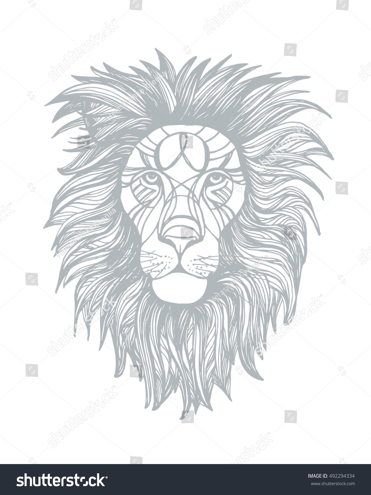 Vector Lionhanddrawing Illustration Stock Vector (Royalty Free) 492294334