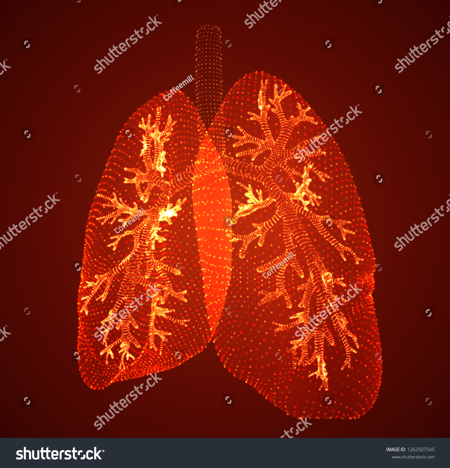 Vector Lungs Bronchi Vector Design Point Stock Vector (Royalty Free ...